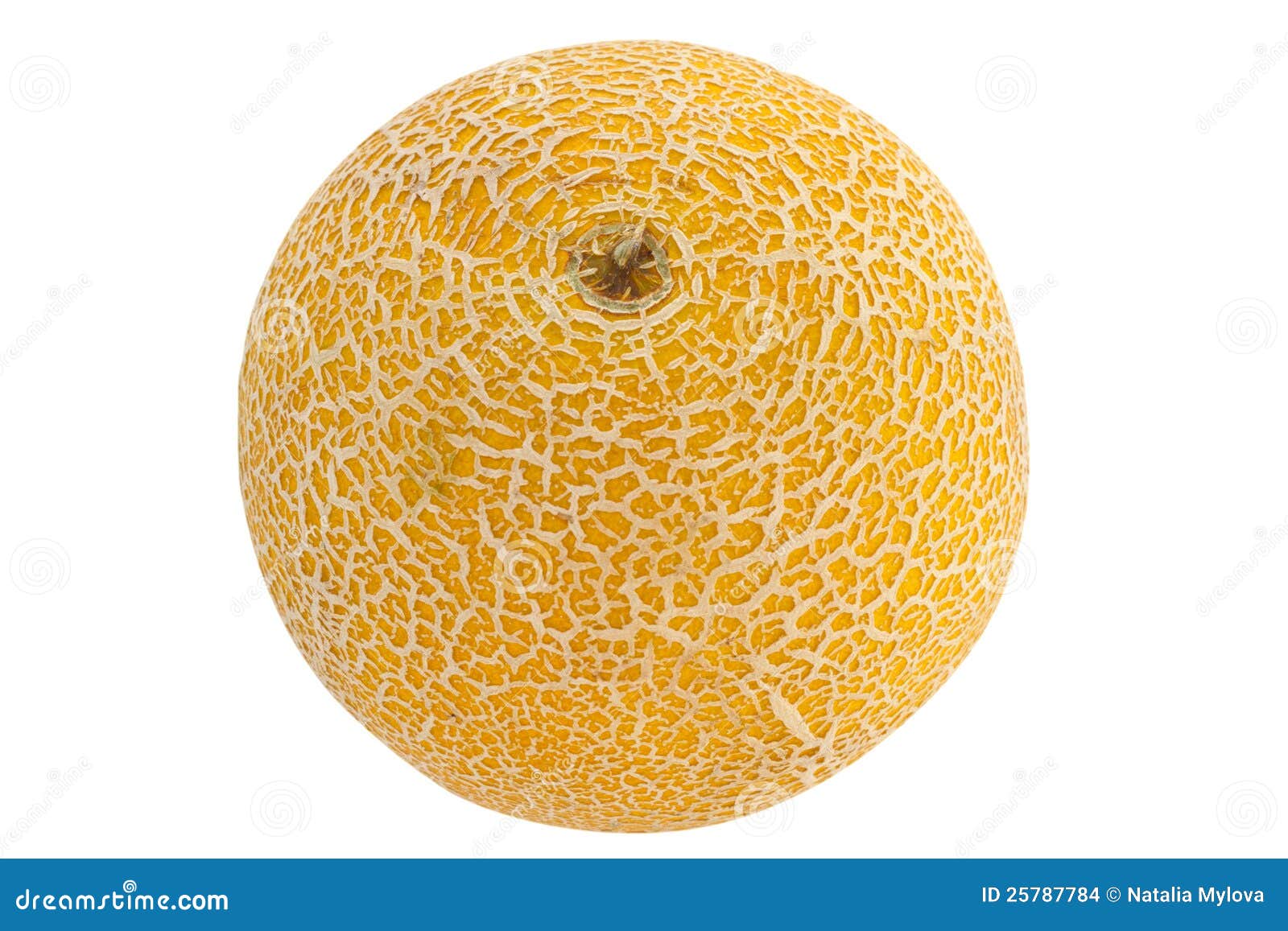 Yellow melon stock photo. Image of bright, eating, healthy - 25787784