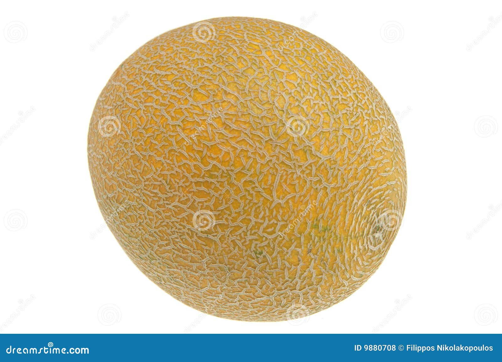 Yellow melon stock photo. Image of summer, natural, nature - 9880708