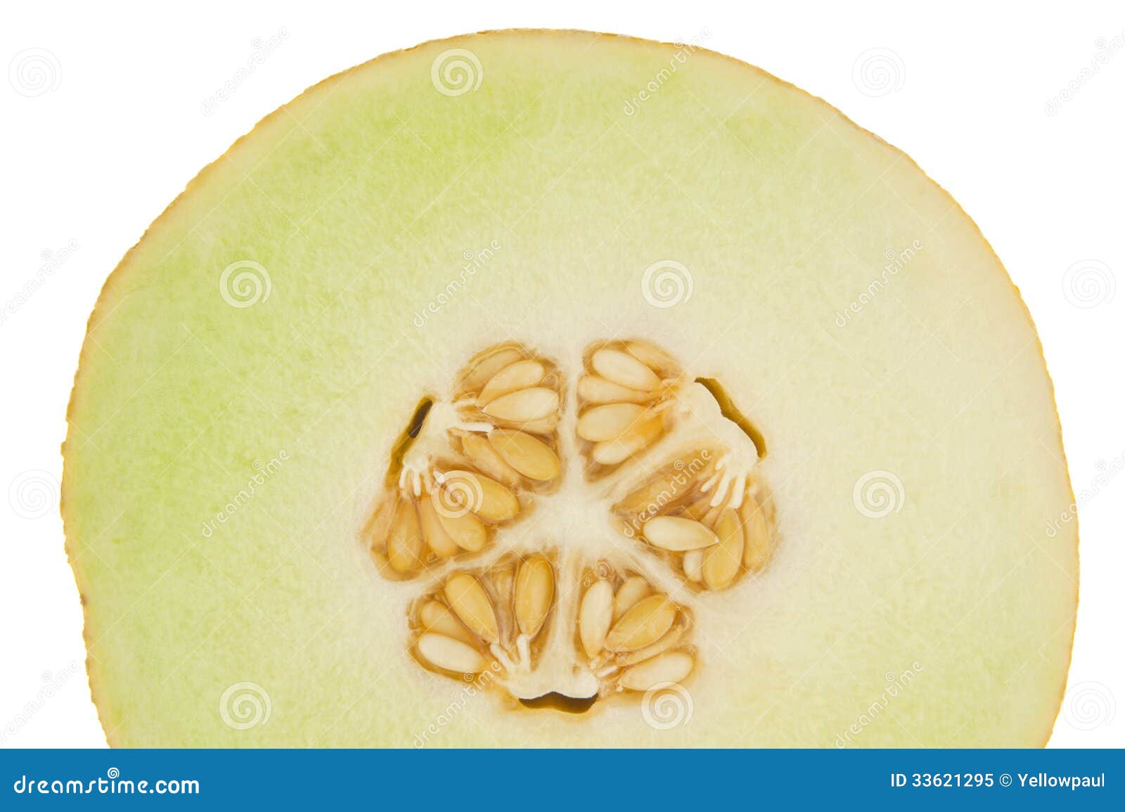 Yellow Melon Cut in Half and Isolated in White Stock Image - Image of ...