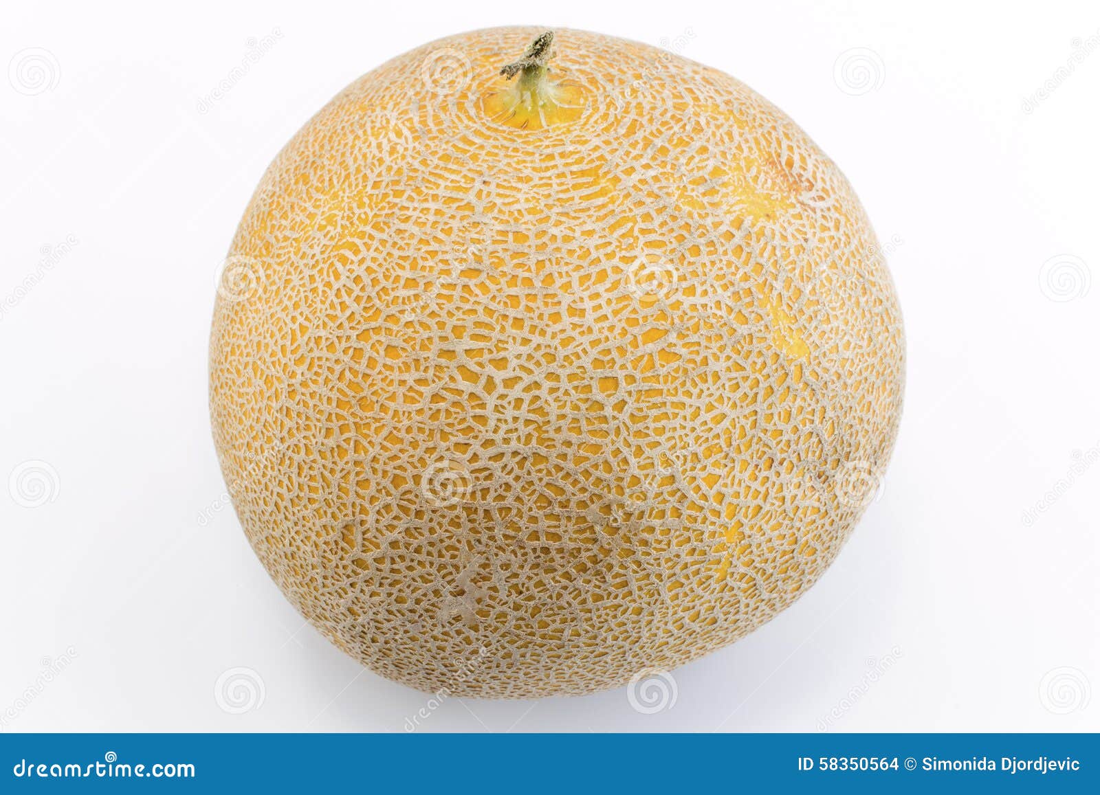 Yellow Melon Isolated on White Stock Photo - Image of juicy, aromatic ...