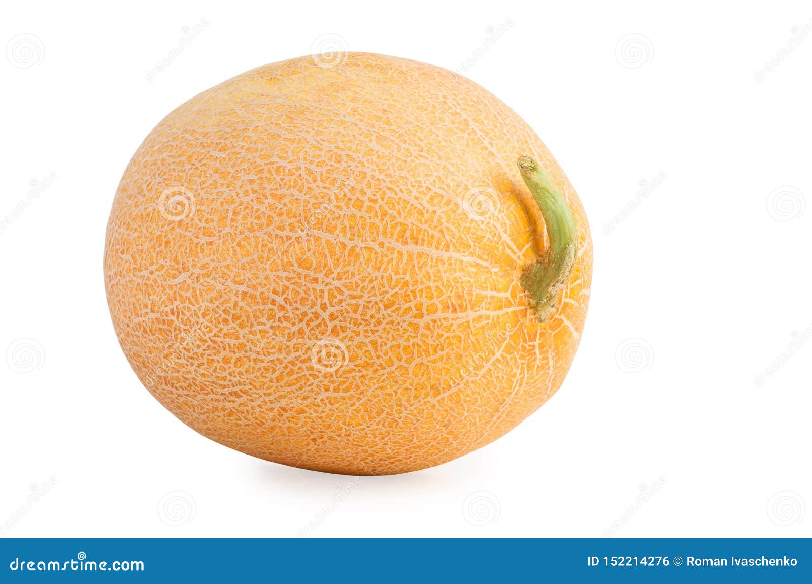 Yellow melon fruit stock photo. Image of isolated, food - 152214276