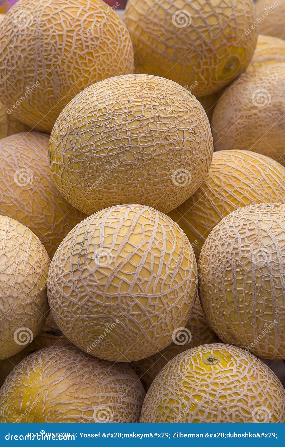 Yellow Melon Vegetable, Canary, Organic, Melons, Tropical Stock Photo ...