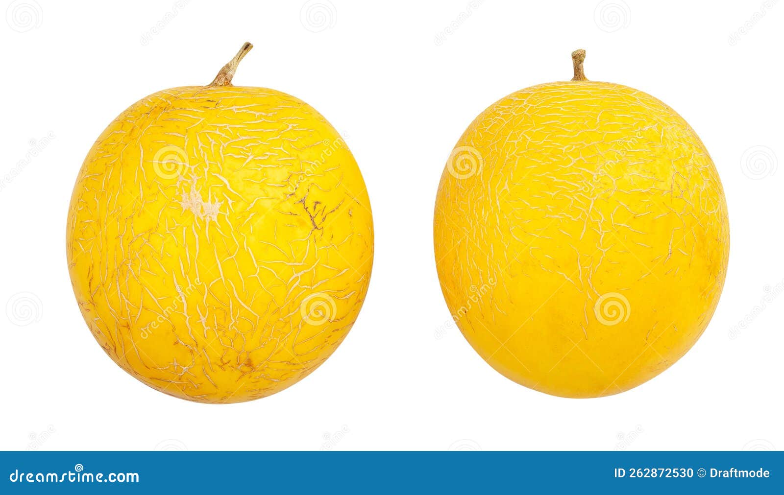 Yellow melon stock photo. Image of yellow, isolated - 262872530