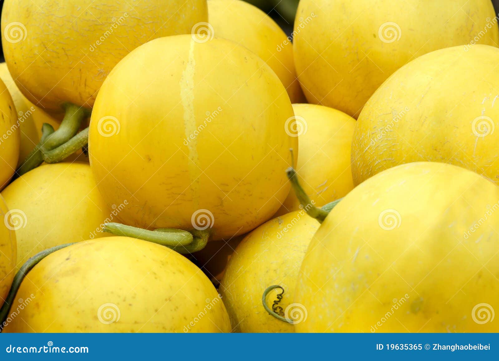Yellow melons stock image. Image of macro, yellow, fruits - 19635365