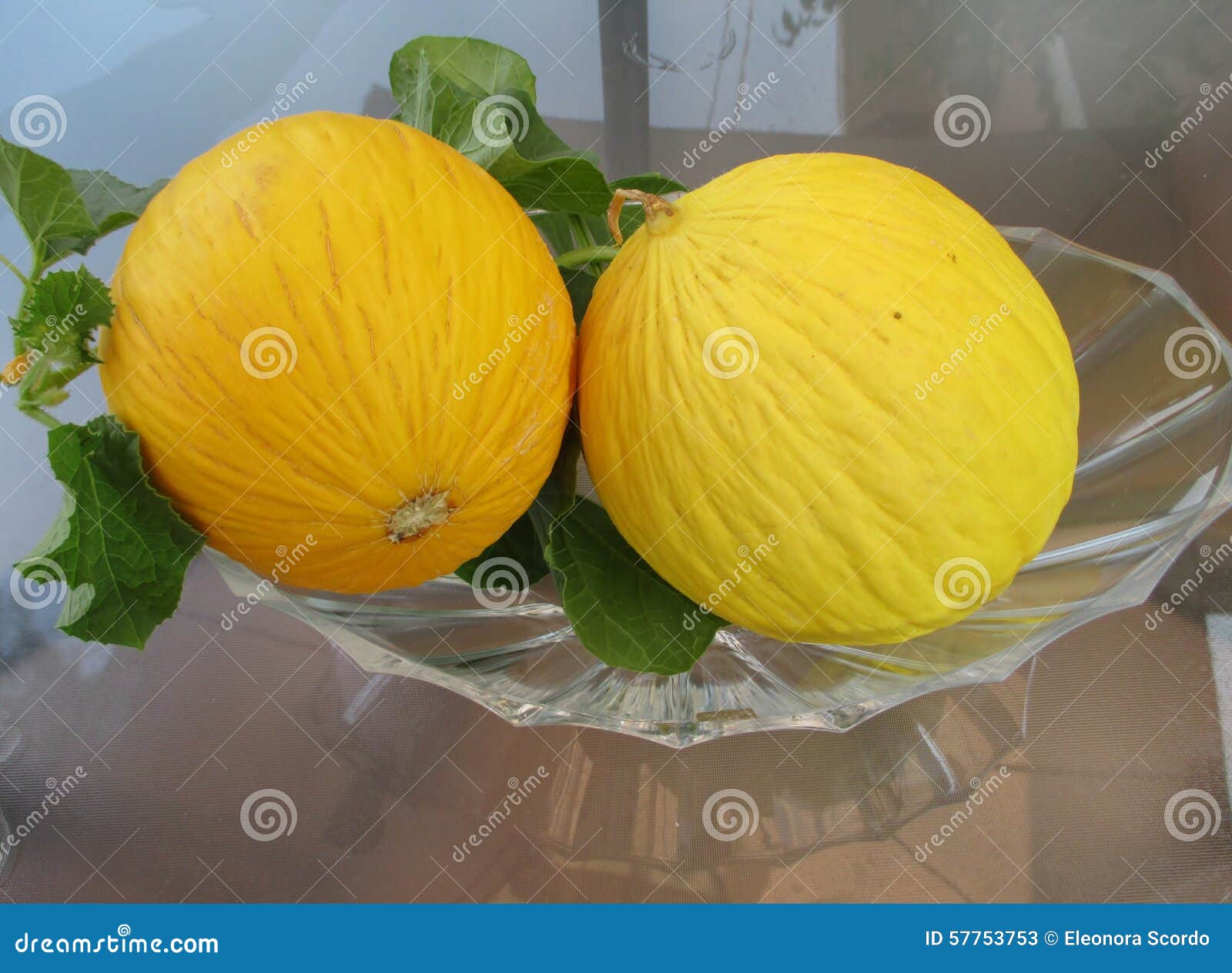 Yellow melons stock image. Image of fruits, plate, melons - 57753753