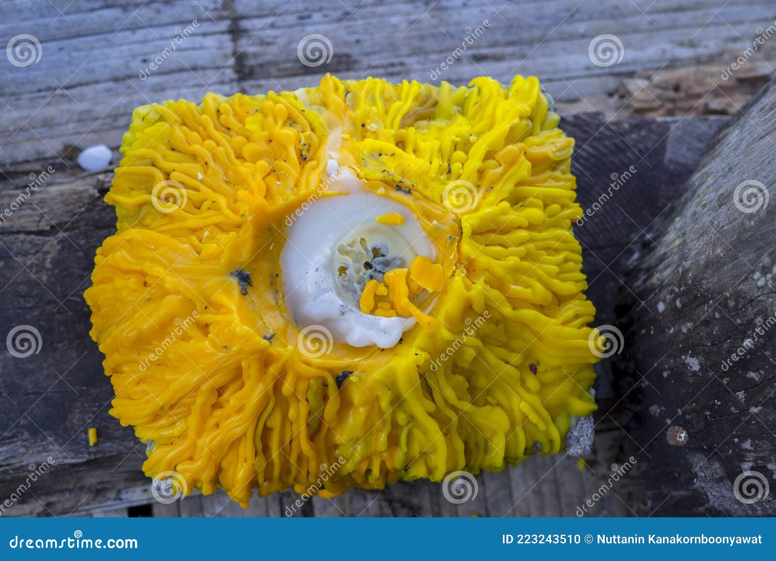 Yellow Melted Candle Drips in Shape of Solid Drops. Abstract Wax ...