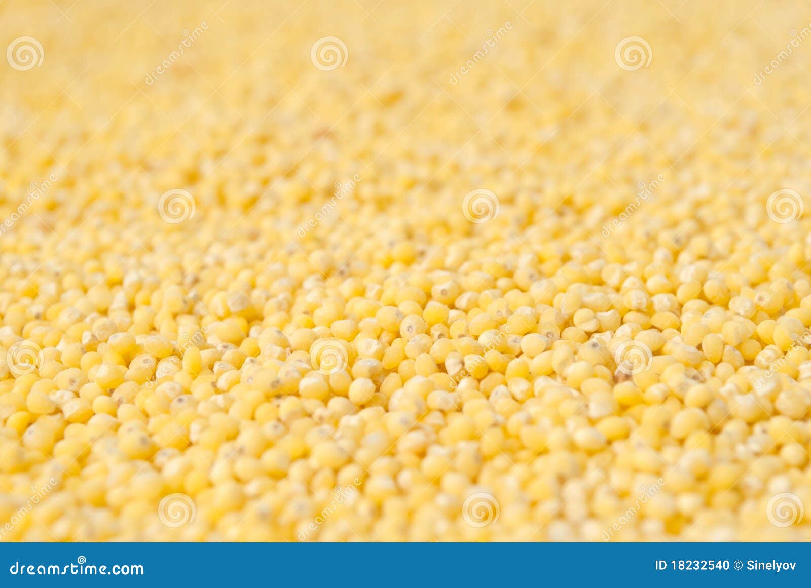 Yellow millet stock photo. Image of corn, groats, meal - 18232540