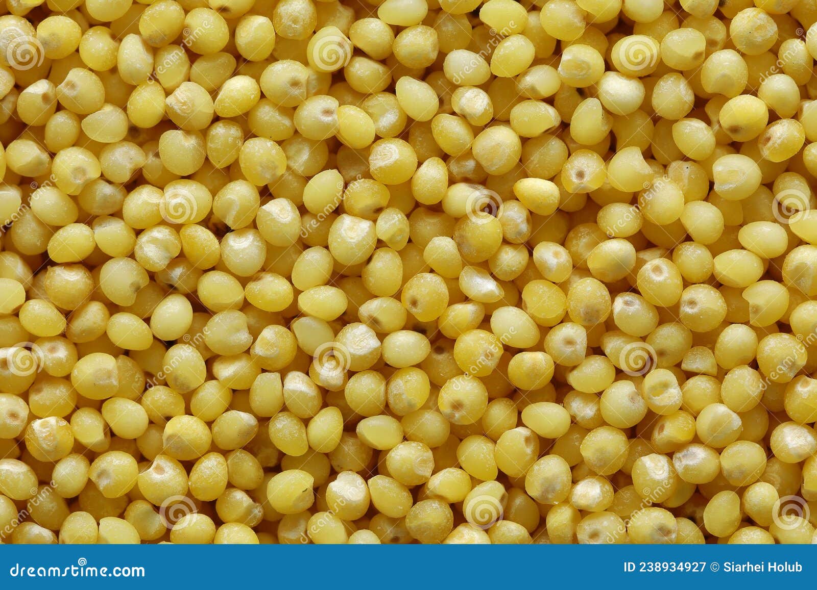 Yellow Millet Background. Close Up Top View Stock Image - Image of seed ...