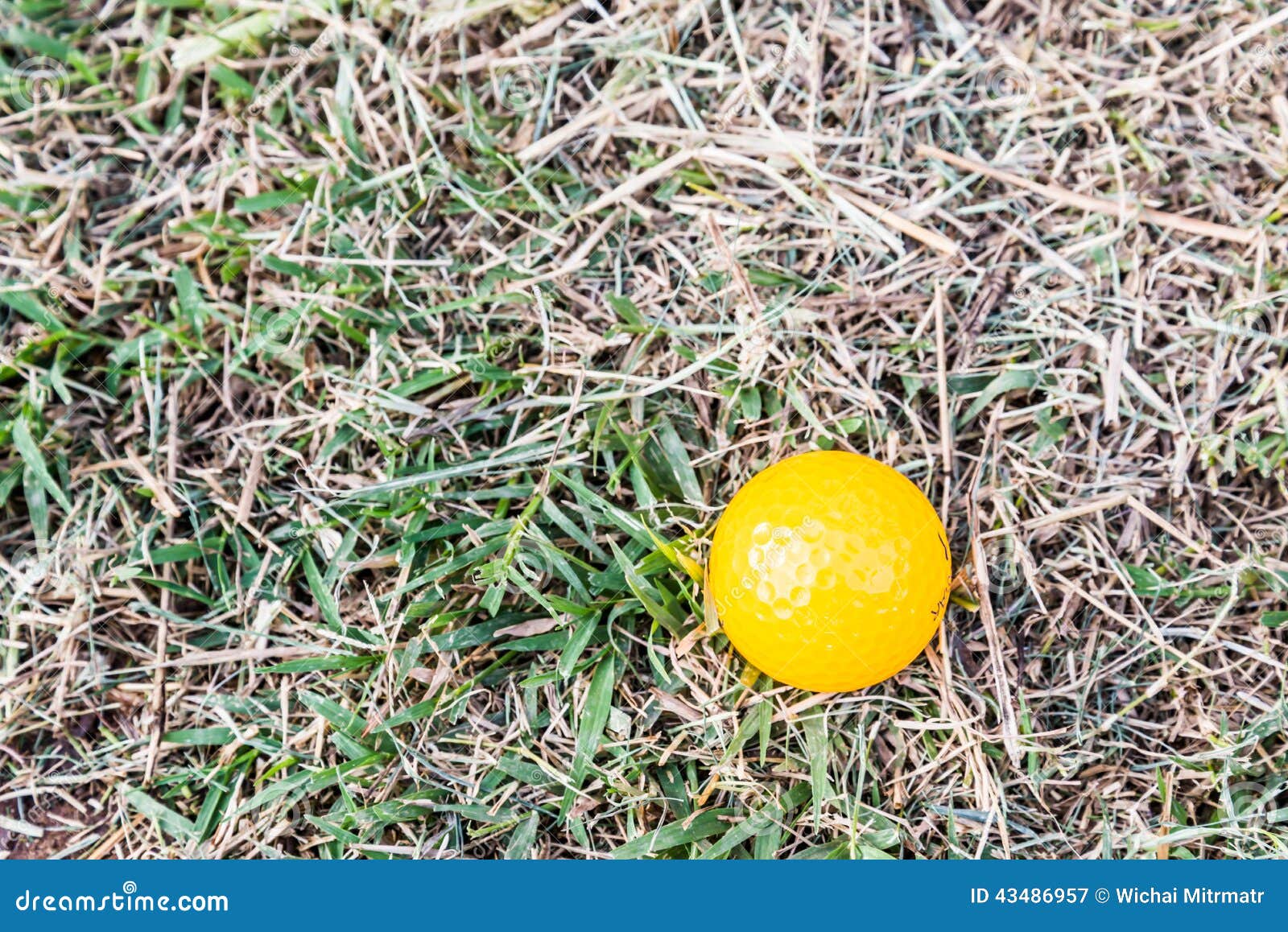 Yellow Miniature Golf Ball in the Rough Stock Image - Image of white ...