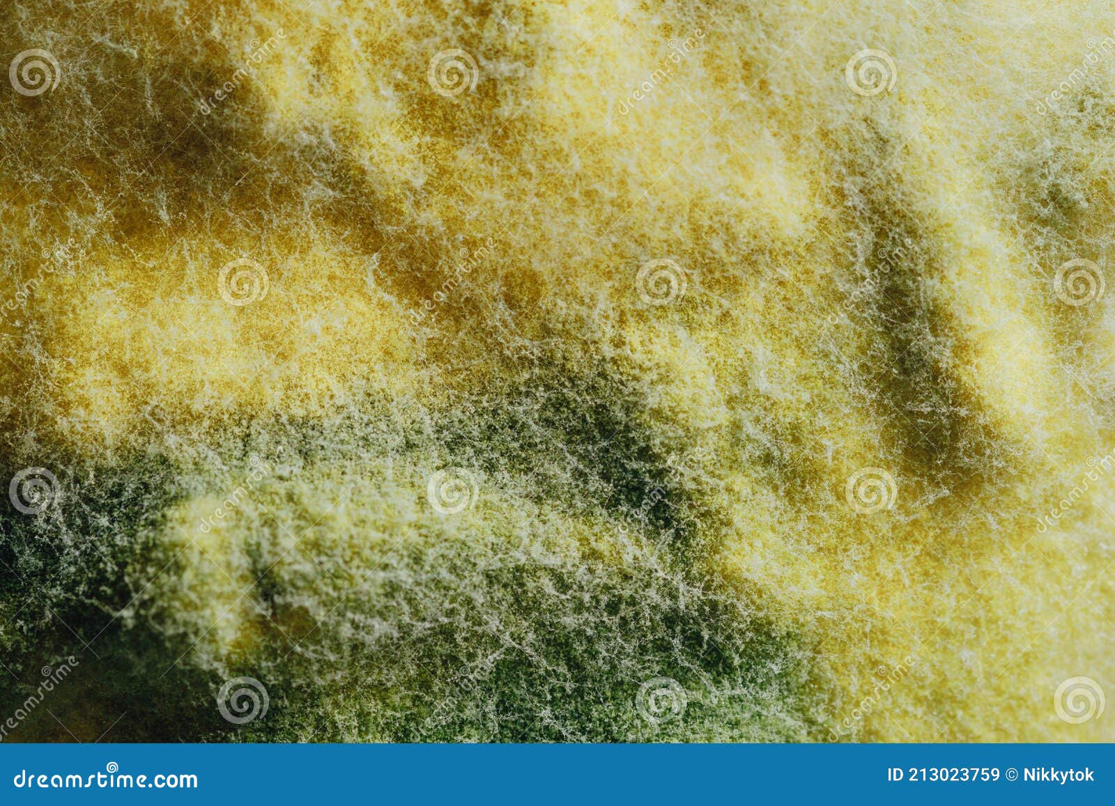 Yellow mold background stock image. Image of food, mildew - 213023759