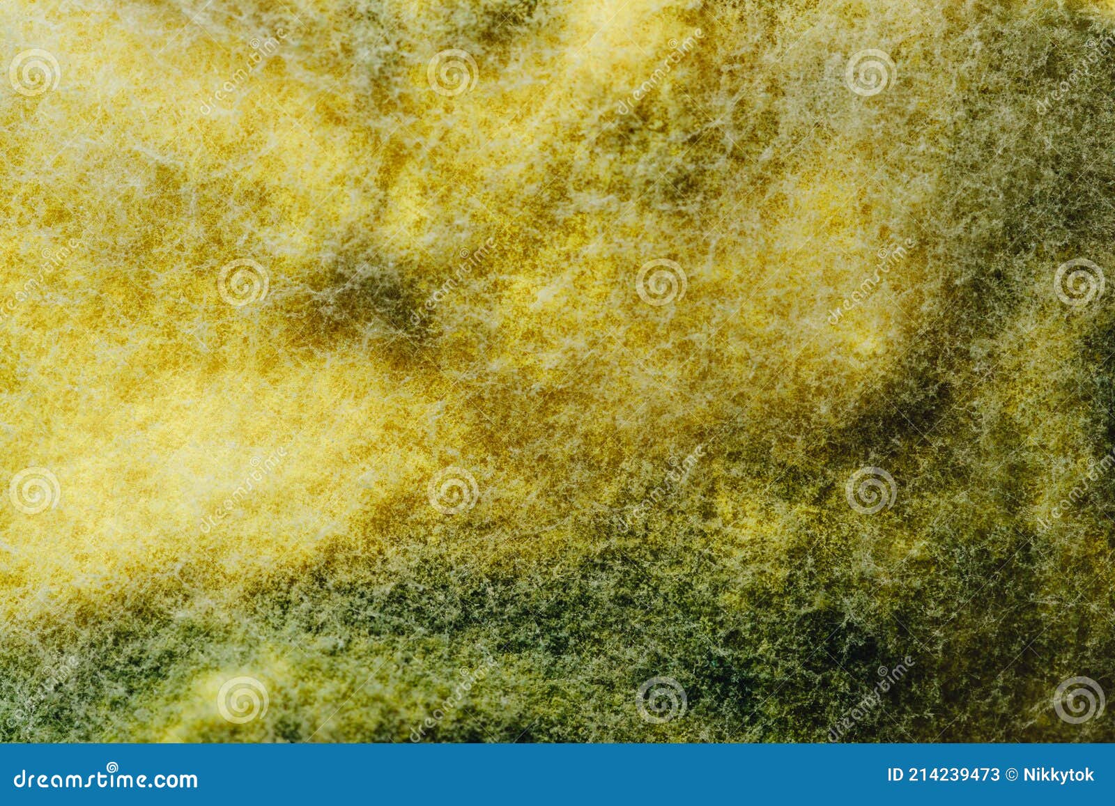 Yellow mold background stock image. Image of background - 214239473