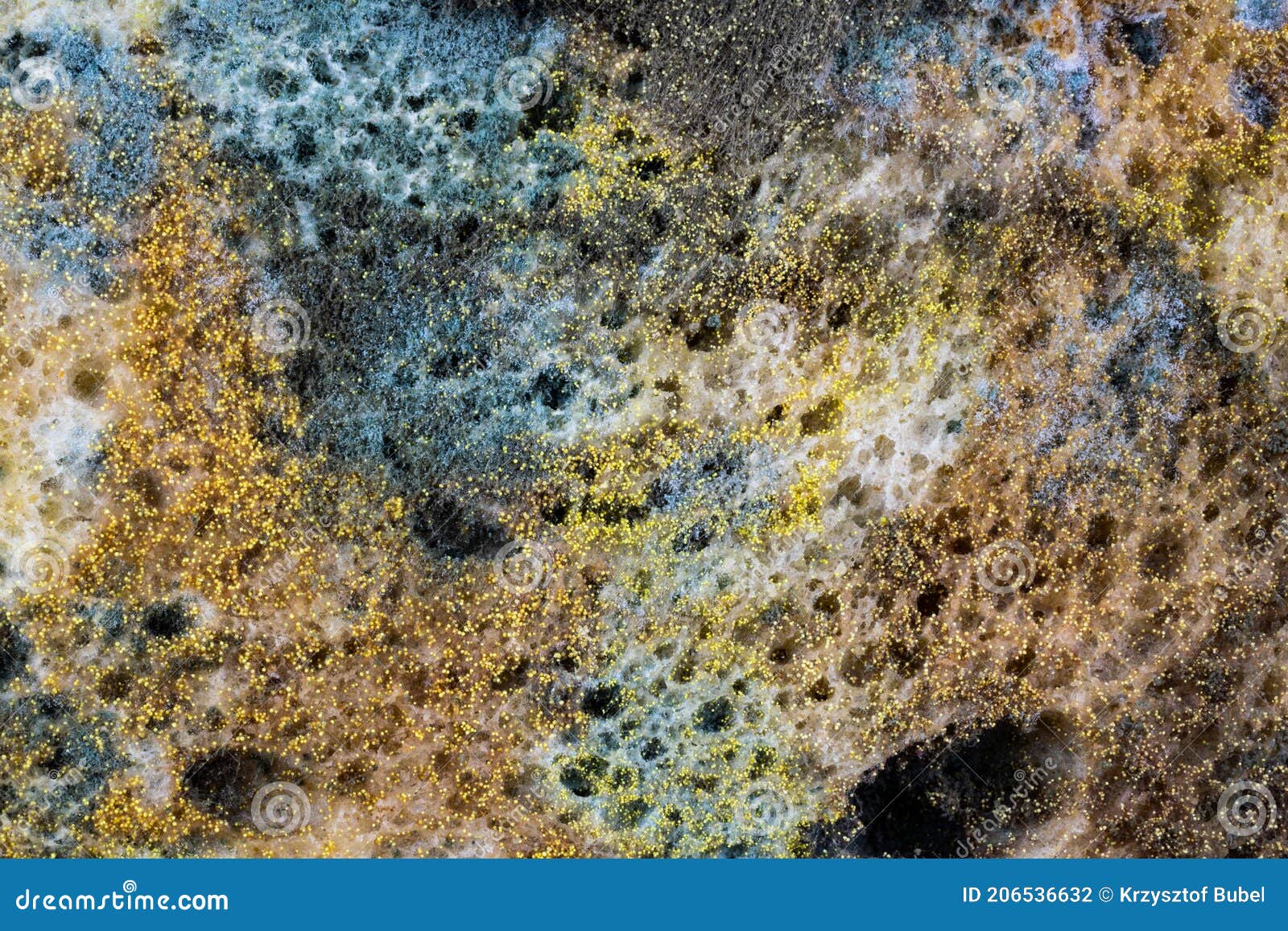 Yellow Mold Spores Macro Shot with Detail Visible Stock Photo - Image ...