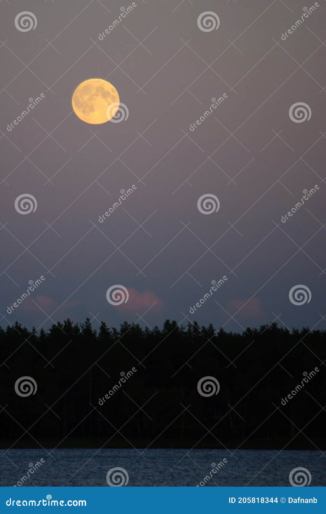 Yellow moon over a lake stock photo. Image of night - 205818344