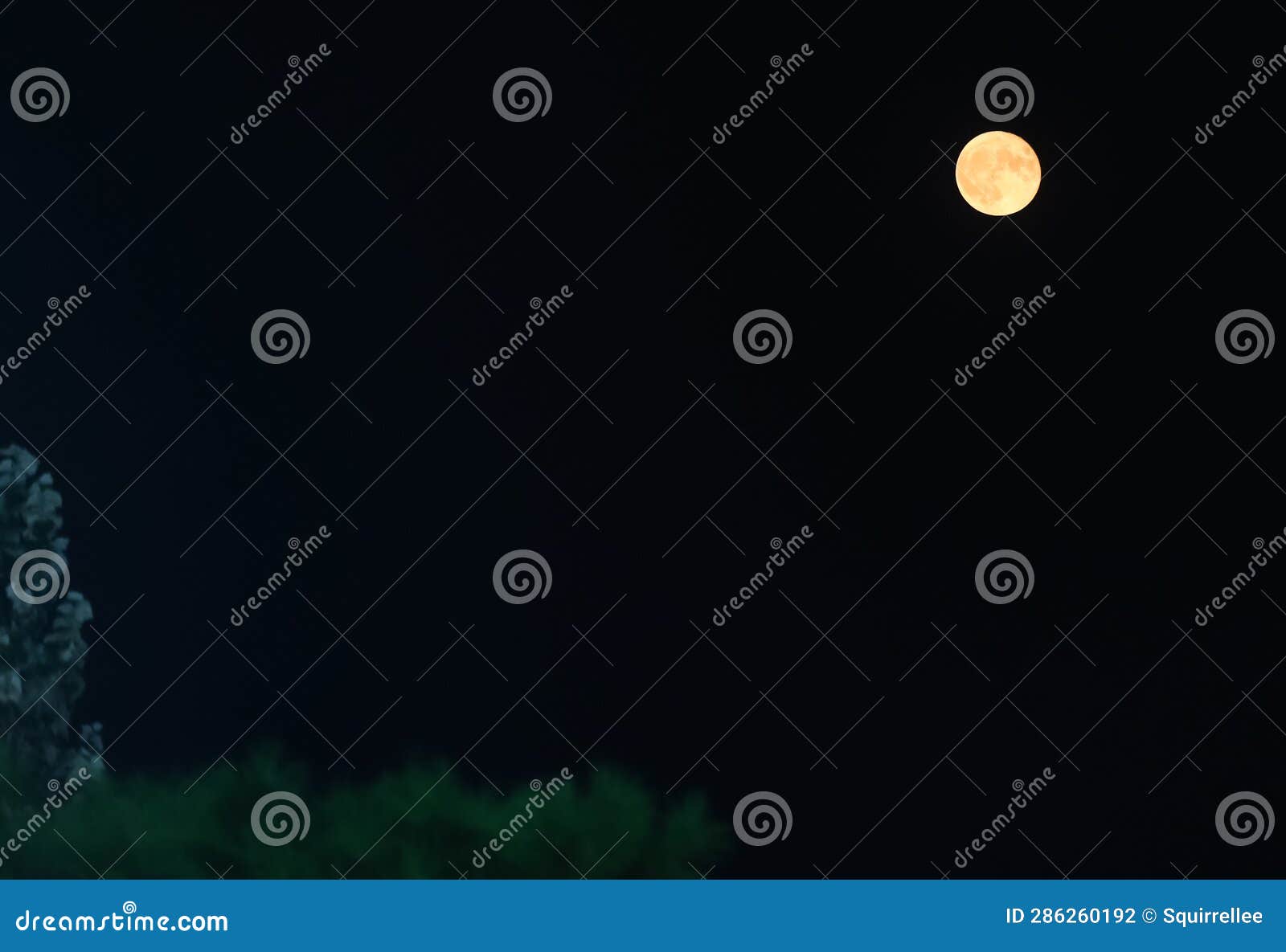 Yellow moon stock photo. Image of whith, streetlight - 286260192