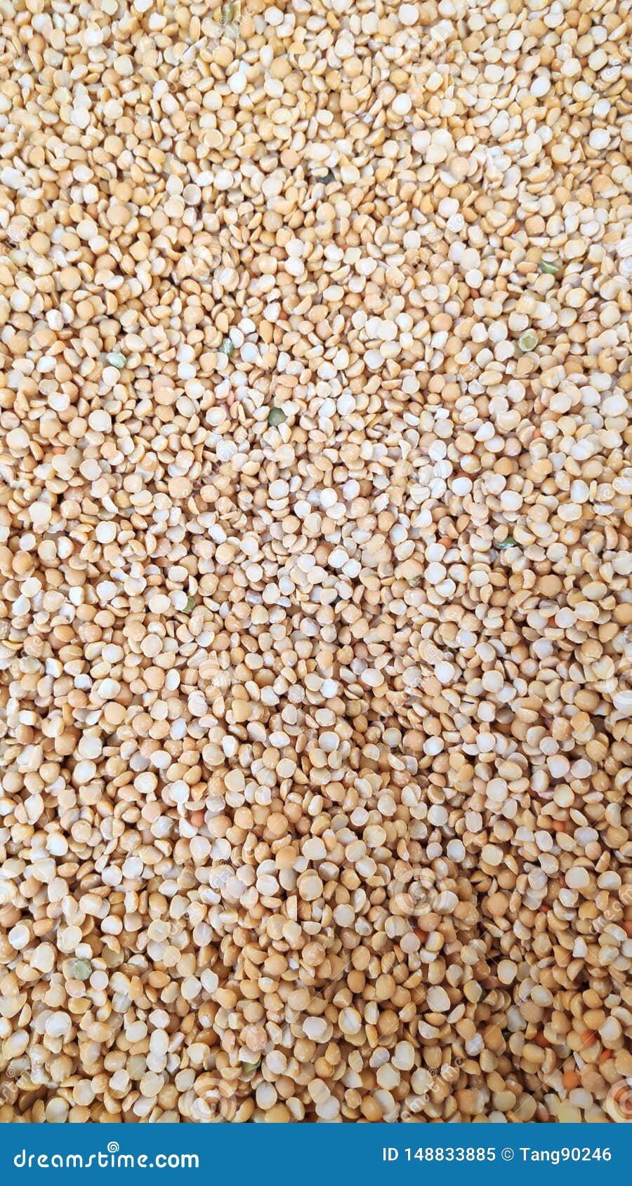 Yellow moong dal stock image. Image of ripe, beans, agriculture - 148833885