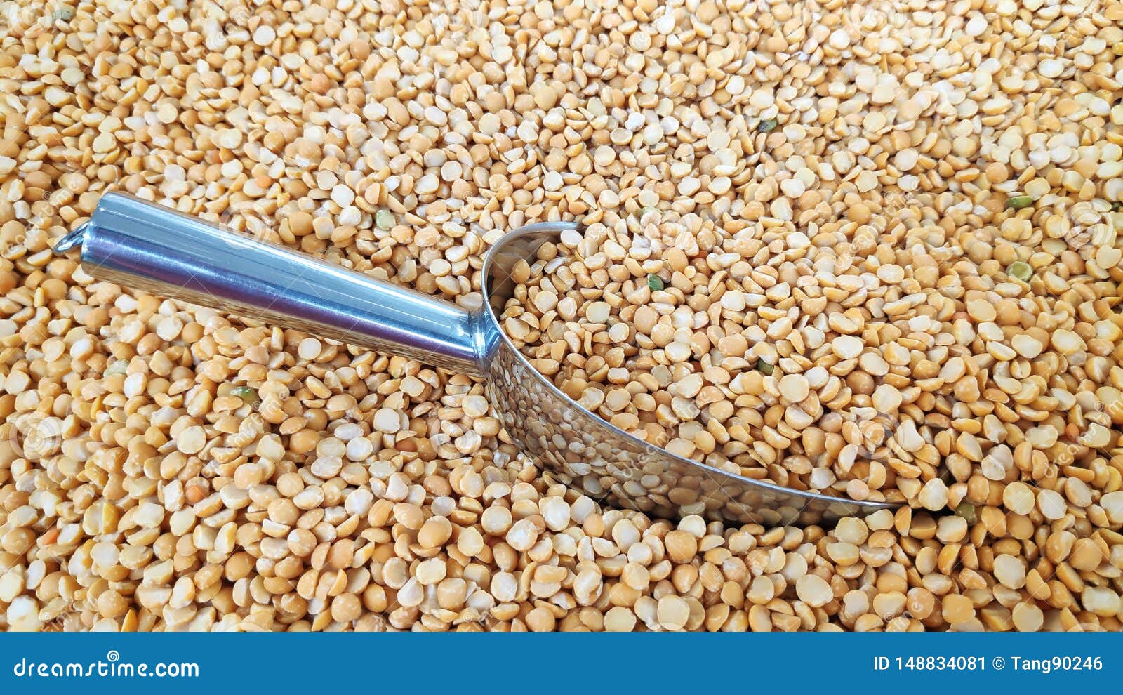 Yellow moong dal stock image. Image of plant, spilled - 148834081