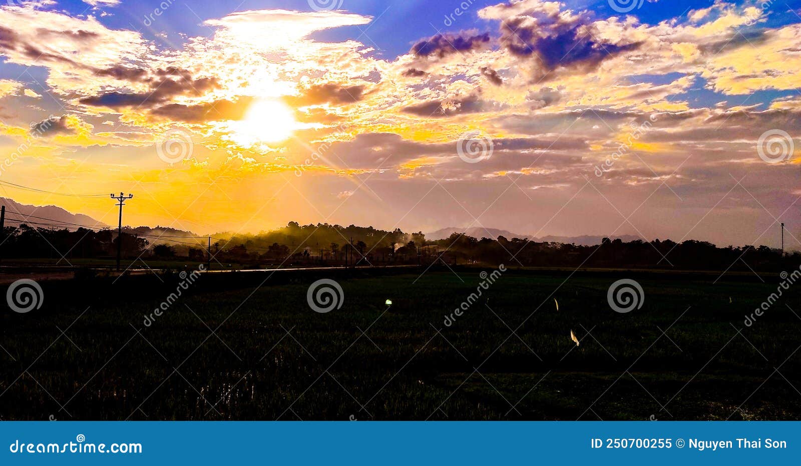 Yellow, morning, picture stock image. Image of reflection - 250700255