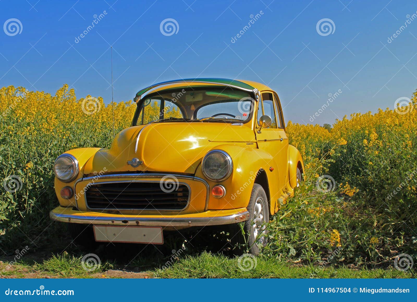 Yellow Morris Minor car editorial stock image. Image of green - 114967504