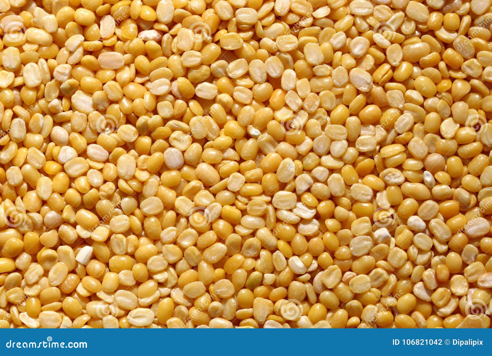 Yellow Mung beans stock photo. Image of seed, indian - 106821042