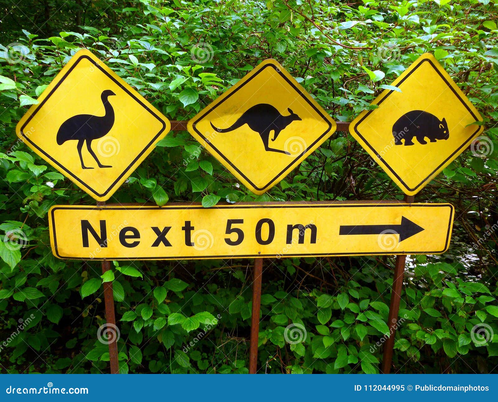 Yellow, Nature, Nature Reserve, Sign Picture. Image: 112044995