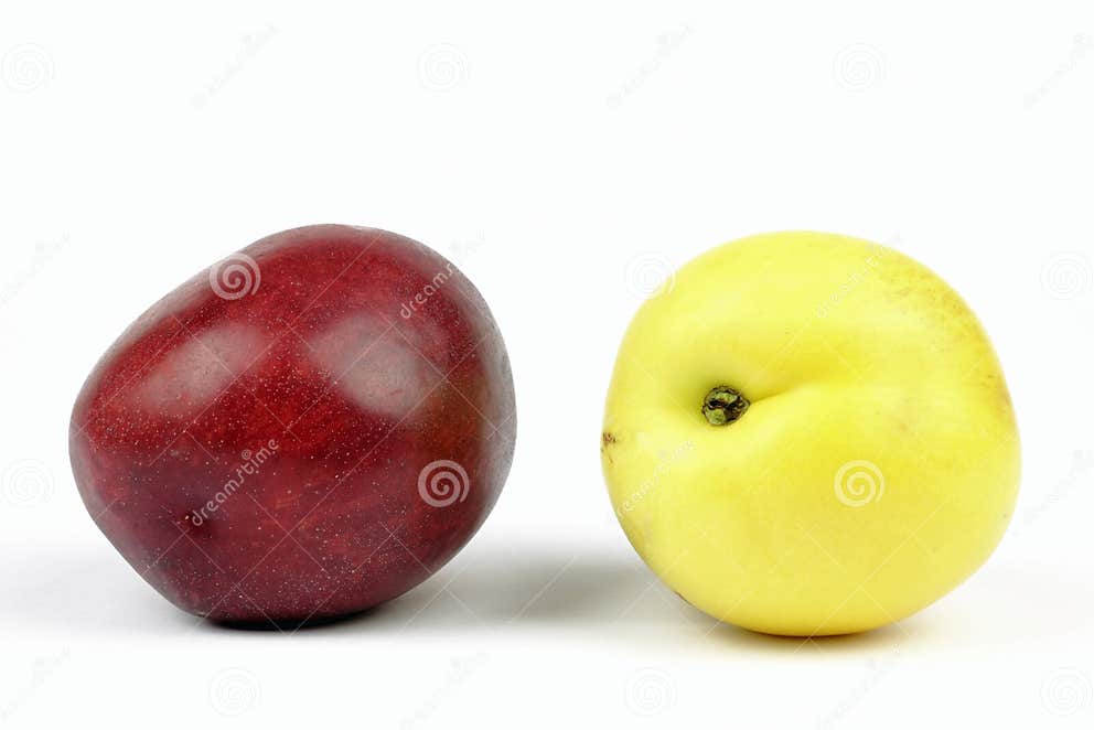 Yellow nectarines stock image. Image of nutrition, healthy - 32054827