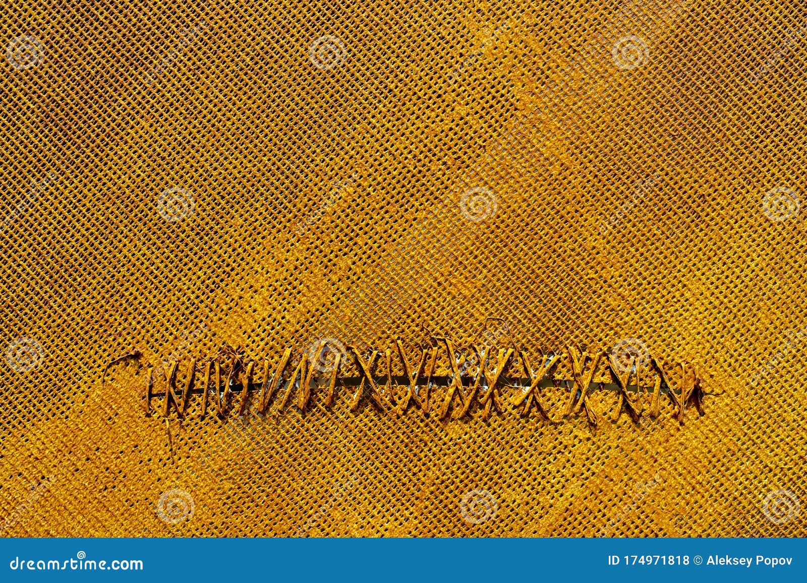 Yellow Net. Texture of Yellow Surface Stock Photo - Image of grid ...