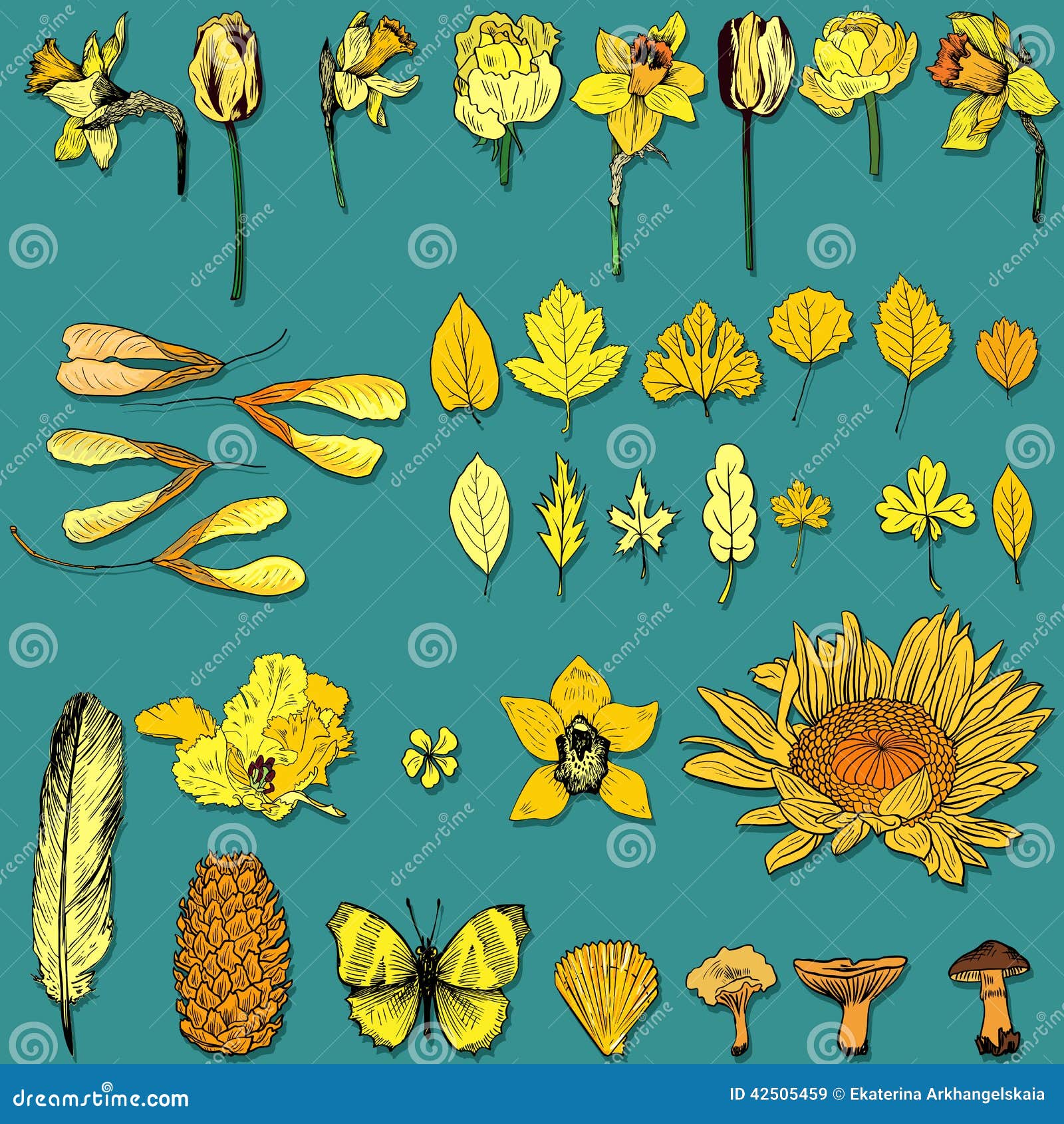 Yellow objects of nature stock vector. Illustration of forest - 42505459