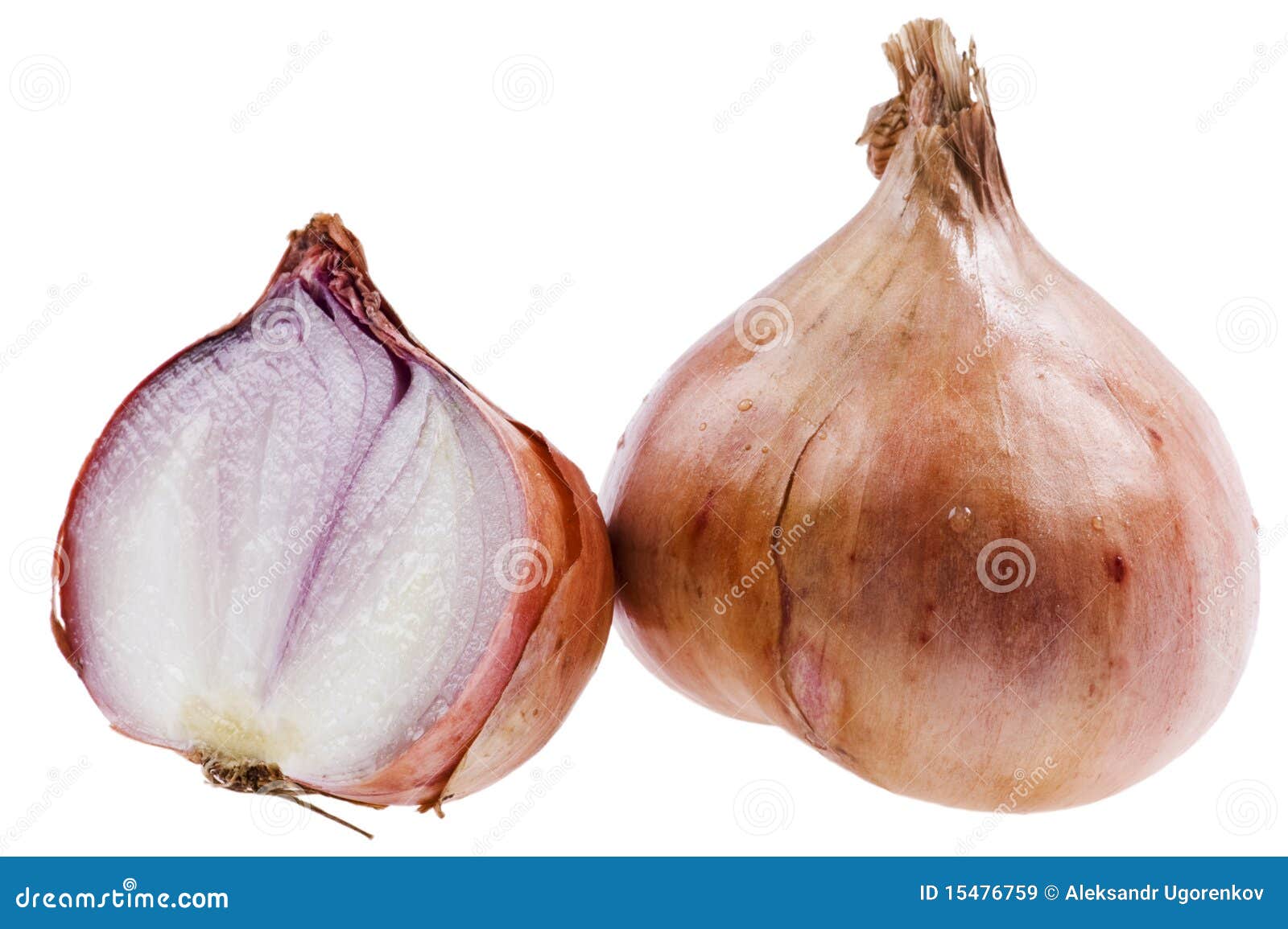 Yellow onion stock image. Image of natural, organic, white - 15476759