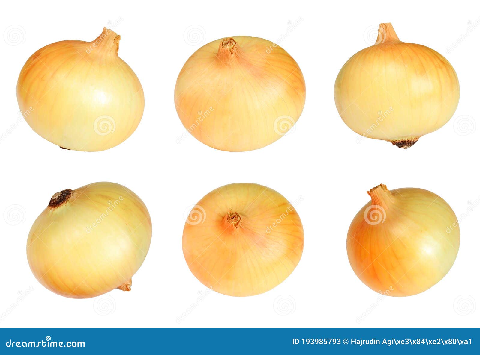 Yellow Onion Bulb from Different Angles Isolated on White Background ...