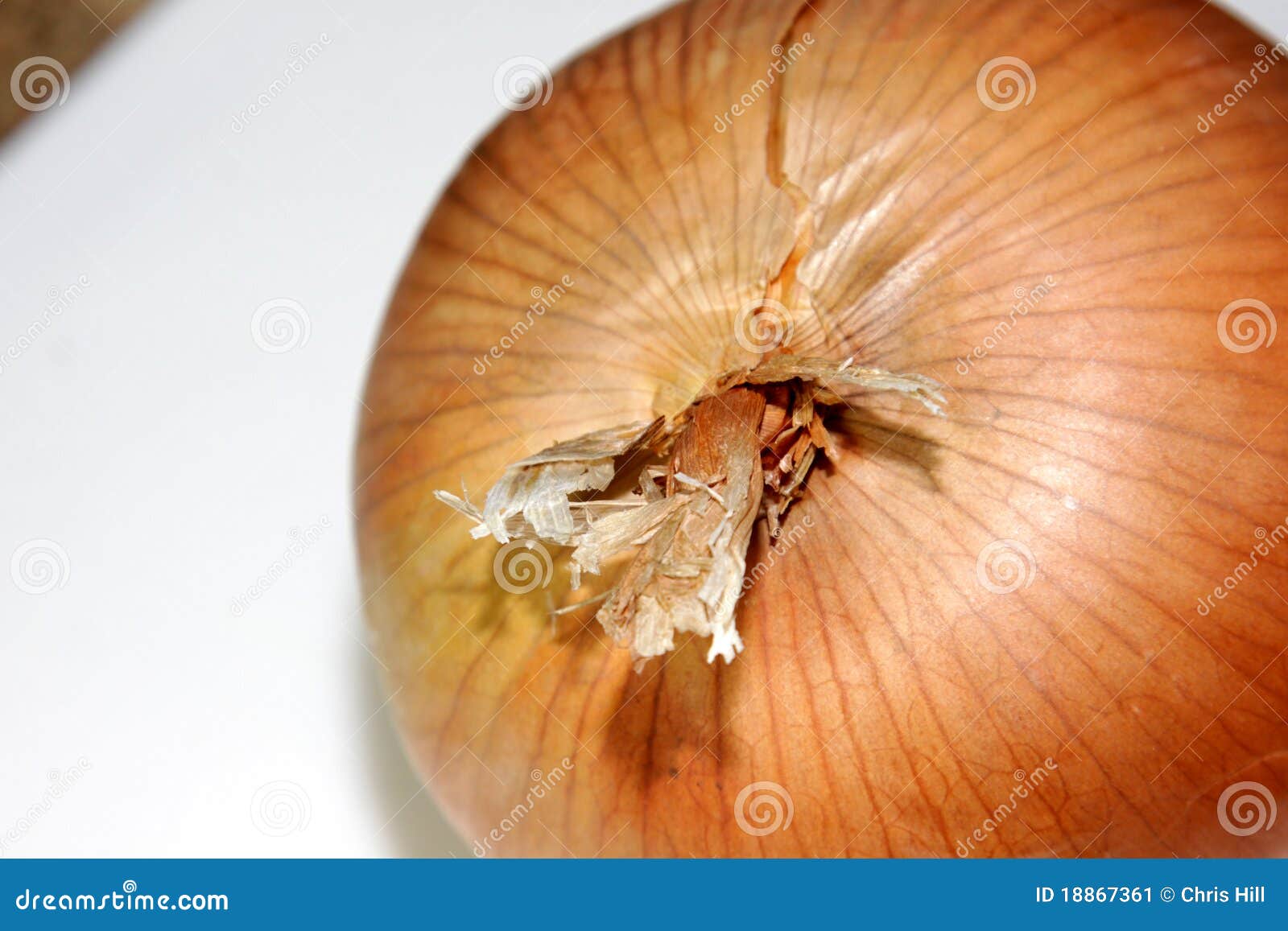 Yellow Onion Close-Up stock image. Image of food, onions - 18867361