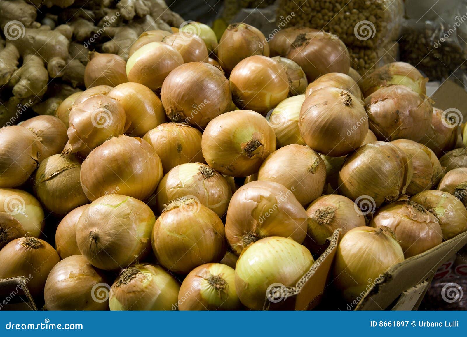 Yellow Onions 1 stock image. Image of ingredient, produce - 8661897
