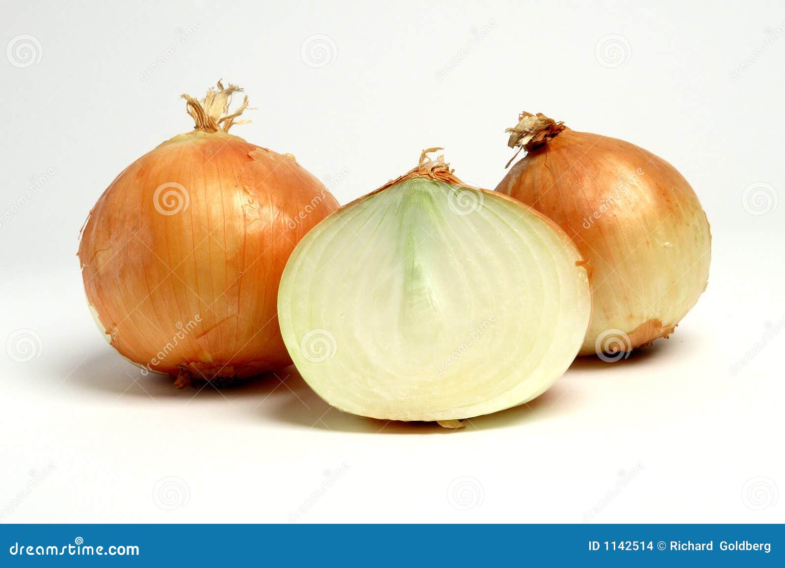Yellow Onions stock photo. Image of harvest, fresh, garden - 1142514