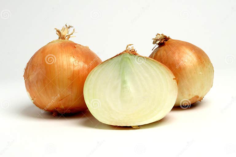 Yellow Onions stock photo. Image of harvest, fresh, garden - 1142514