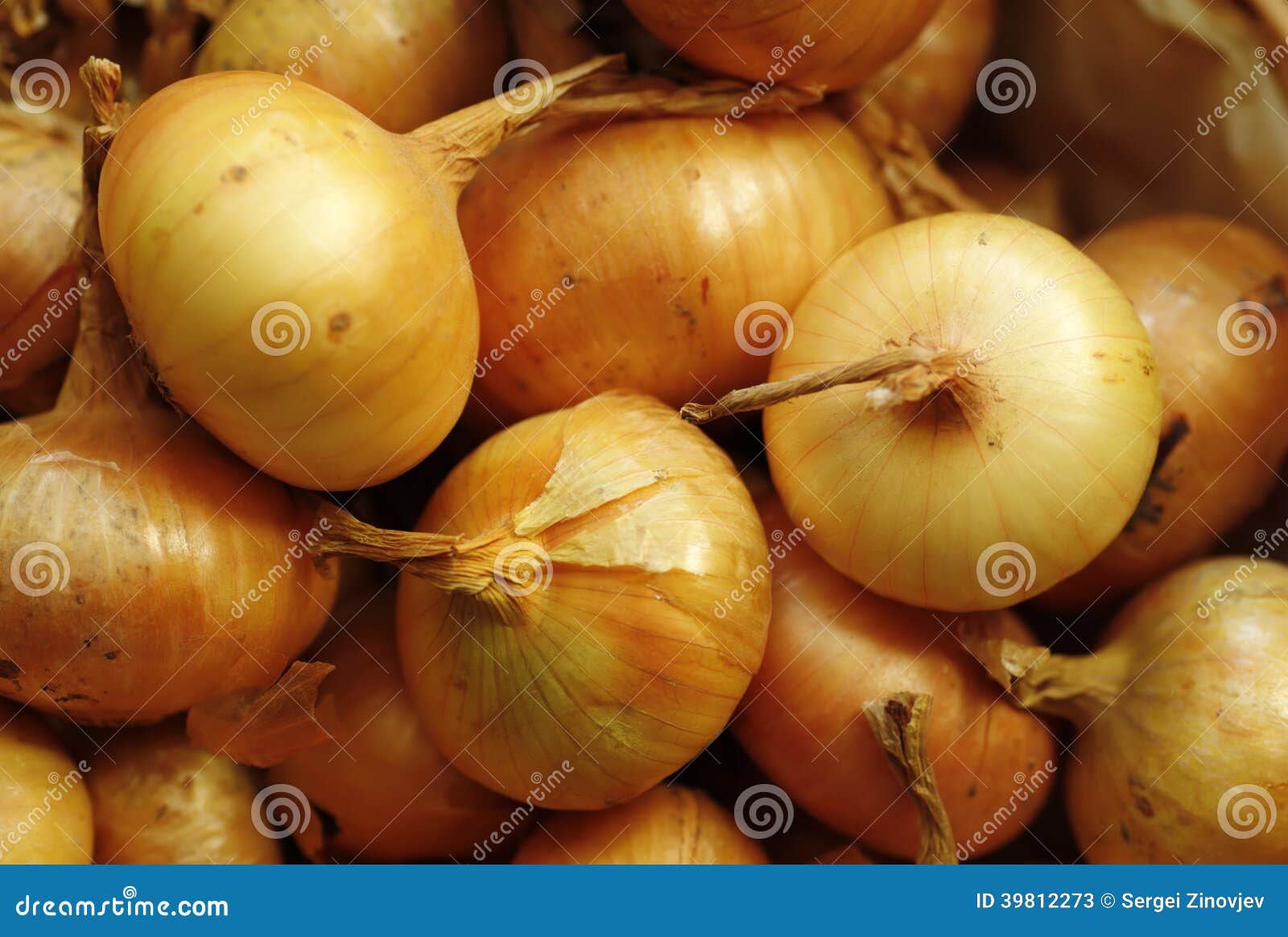 Yellow Onions stock image. Image of ingredient, nature - 39812273