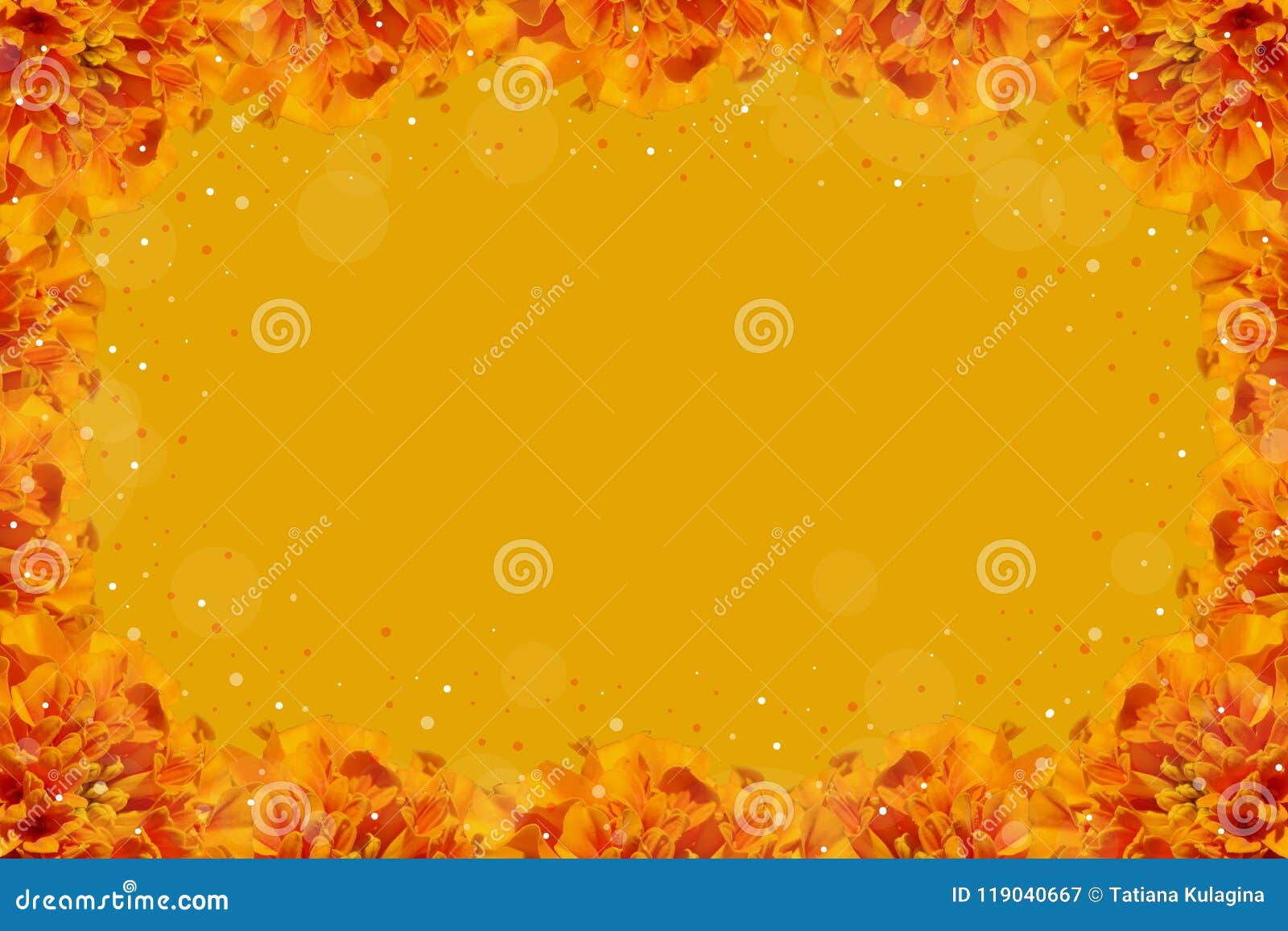 Yellow orange frame stock image. Image of colour, florets - 119040667