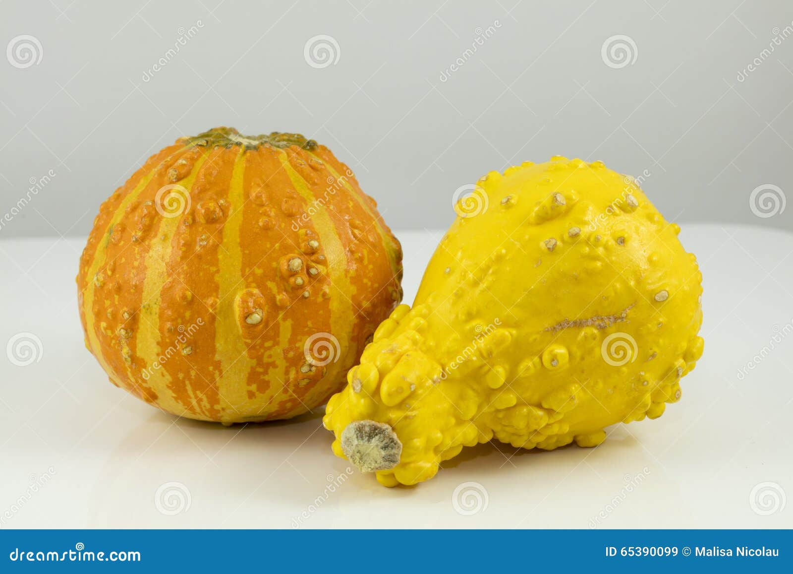 Yellow and Orange Gourds stock image. Image of decor - 65390099