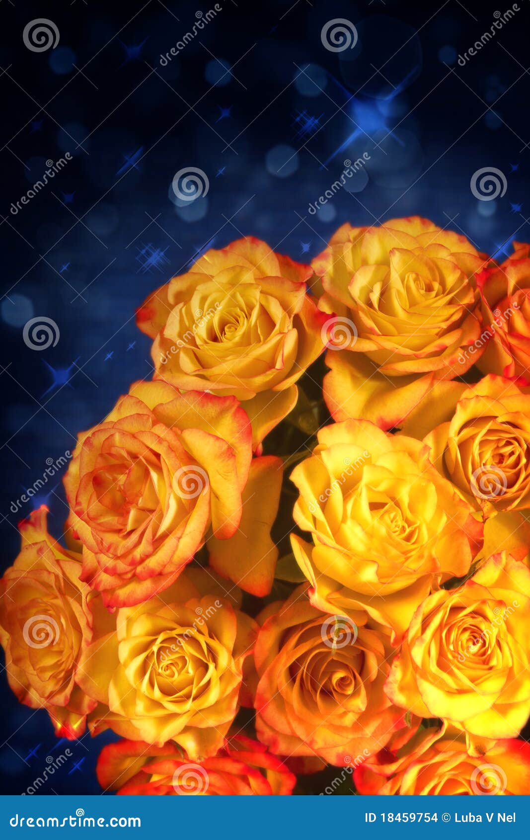 Yellow and Orange Roses Over Blue Background Stock Illustration ...
