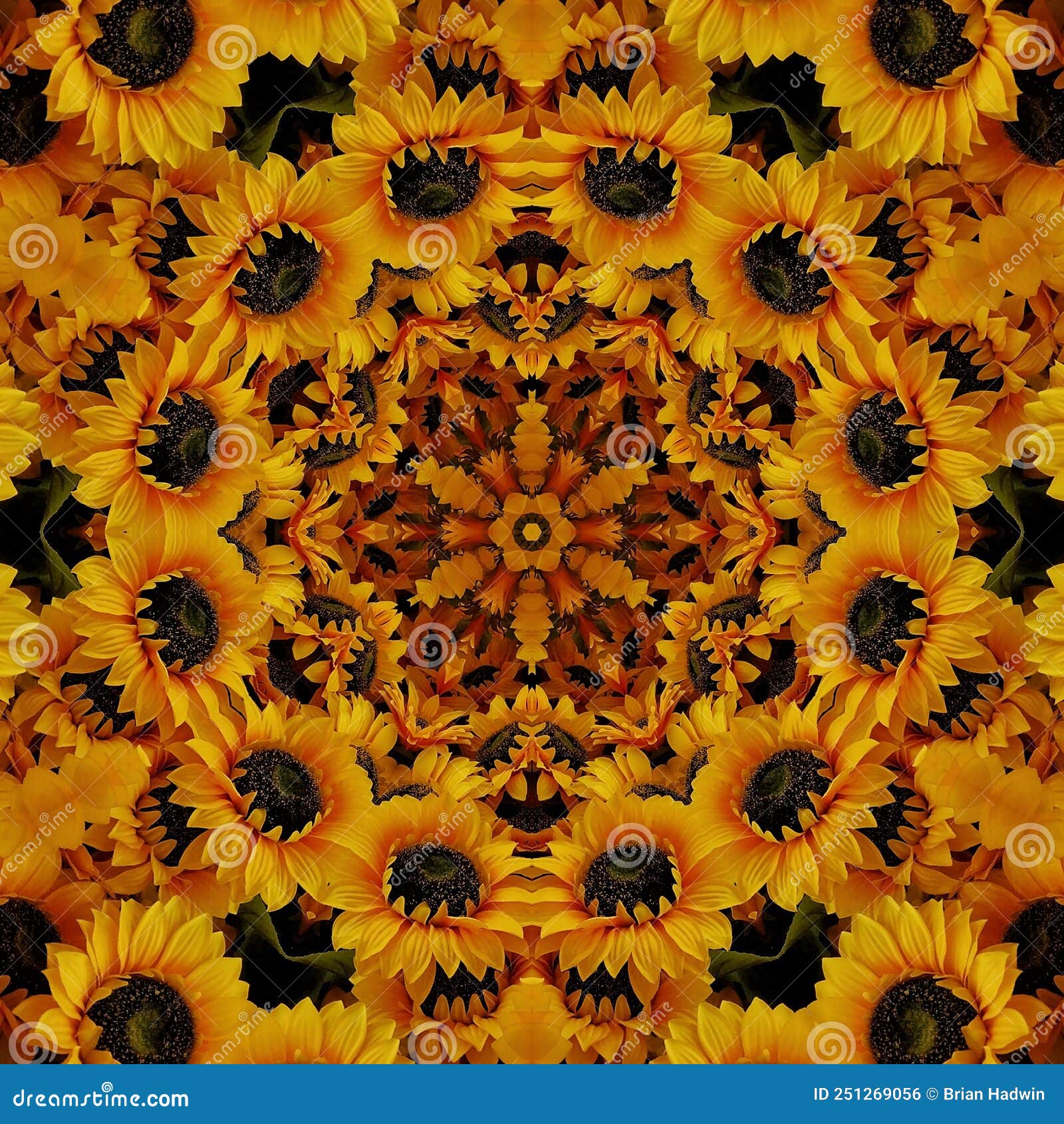 Sunflower Mandala Royalty-Free Stock Photography | CartoonDealer.com ...