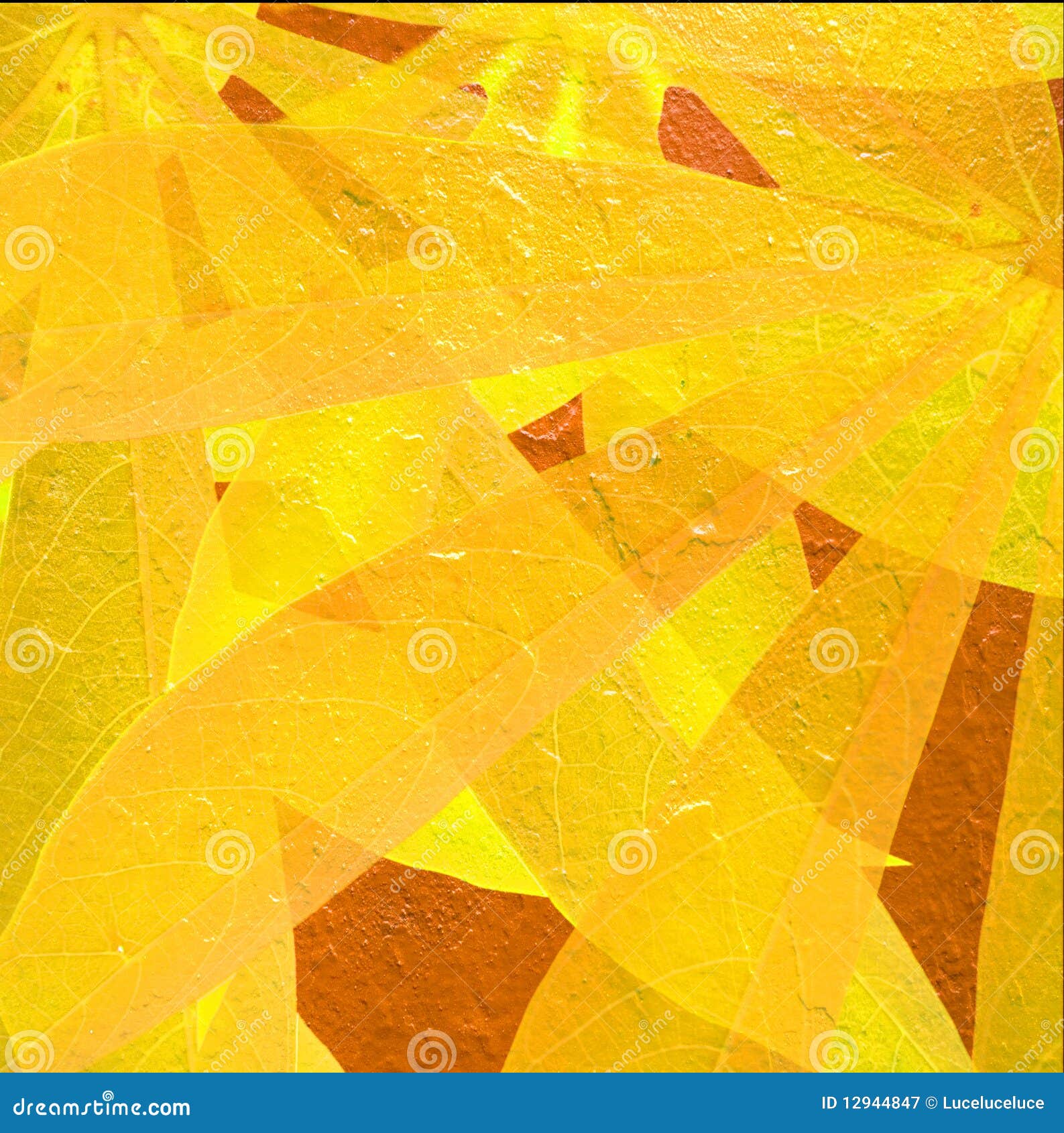 Yellow and Orange Tapioca Leaves Stock Image - Image of beautiful ...