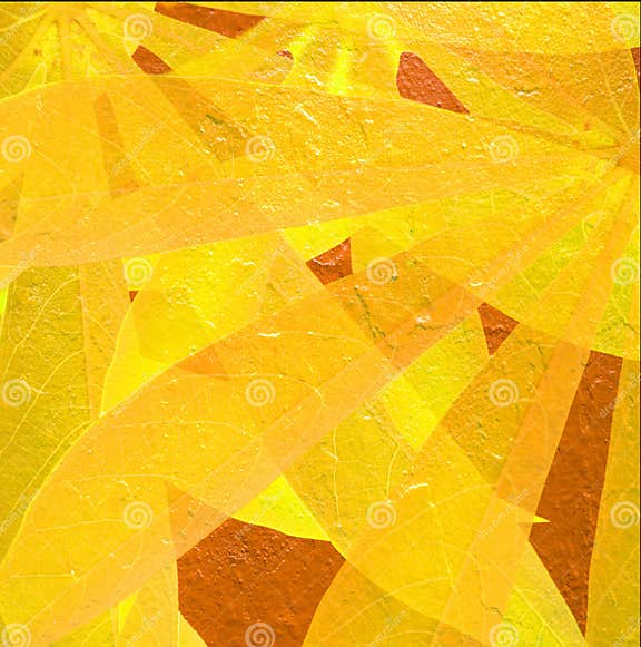 Yellow and Orange Tapioca Leaves Stock Image - Image of beautiful ...