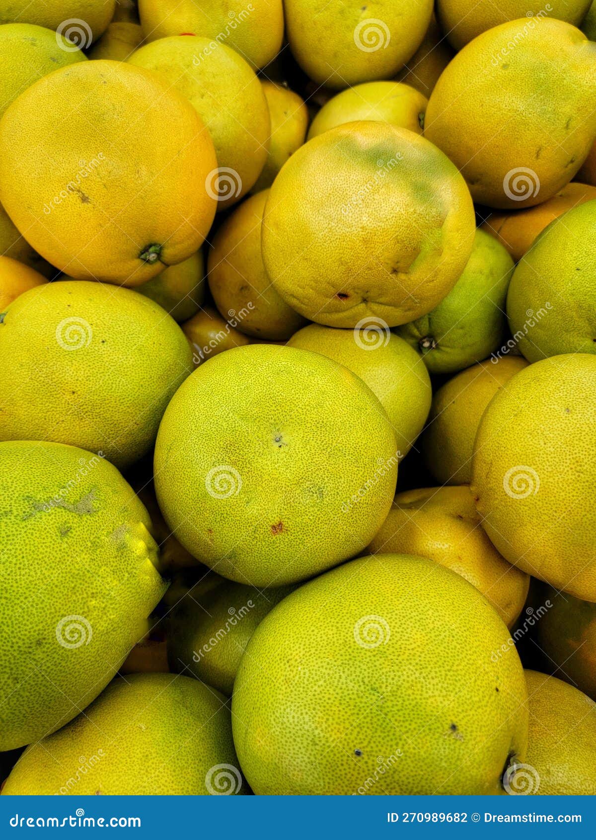 Yellow oranges for sale stock photo. Image of plant - 270989682