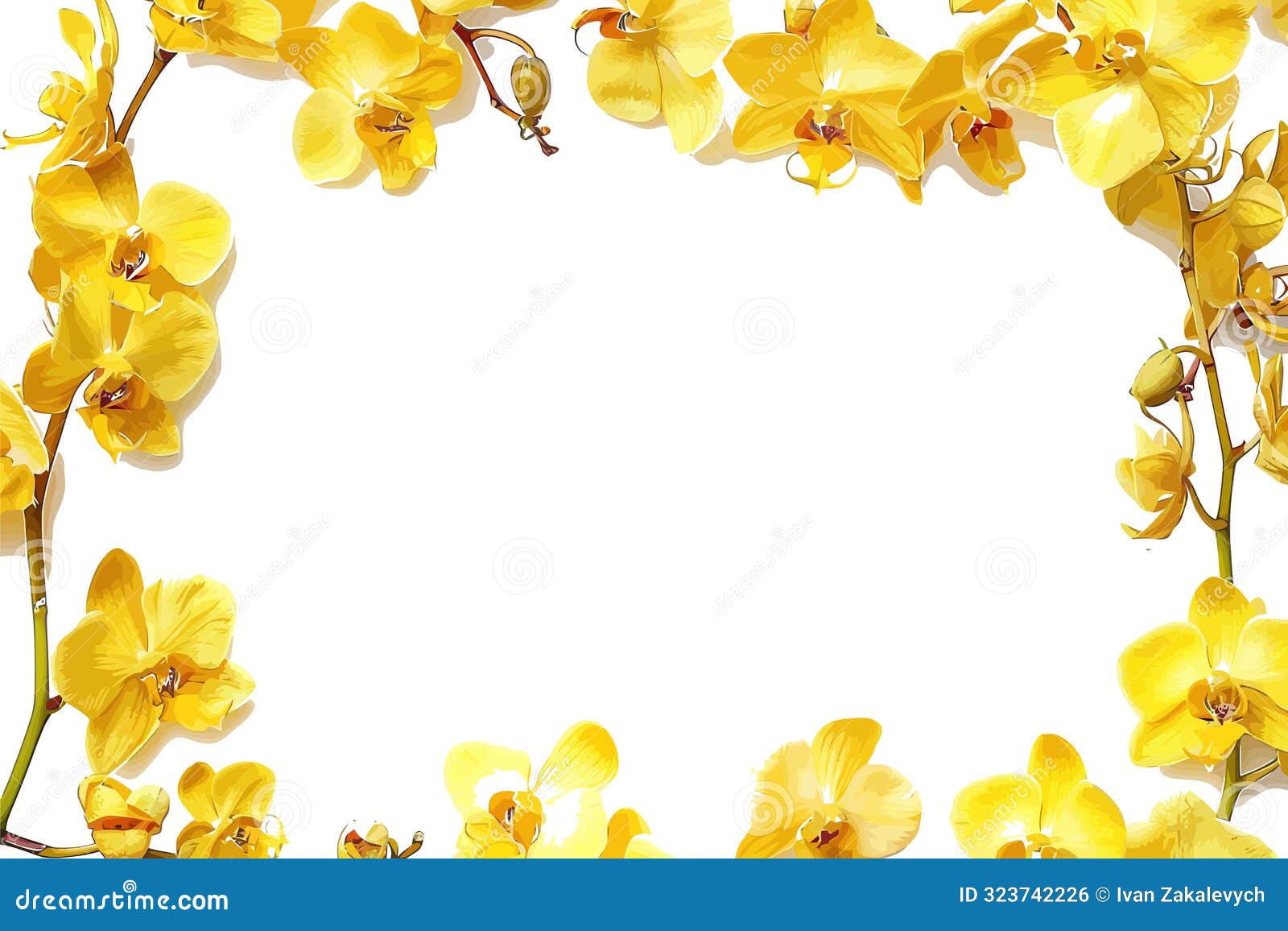 Yellow Orchid Flowers Frame on White Background. Vector Illustration ...