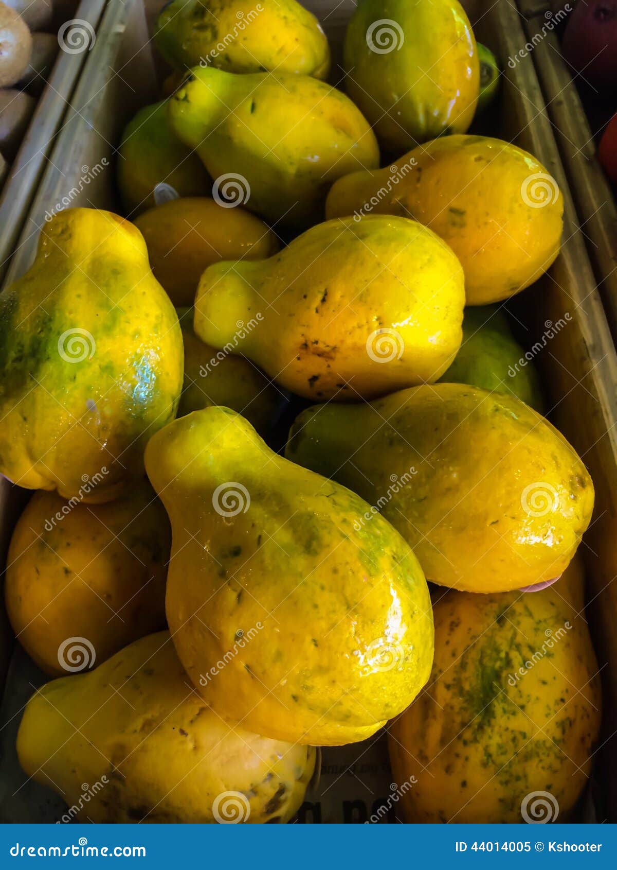 Yellow Papayas stock image. Image of green, produce, farmers - 44014005