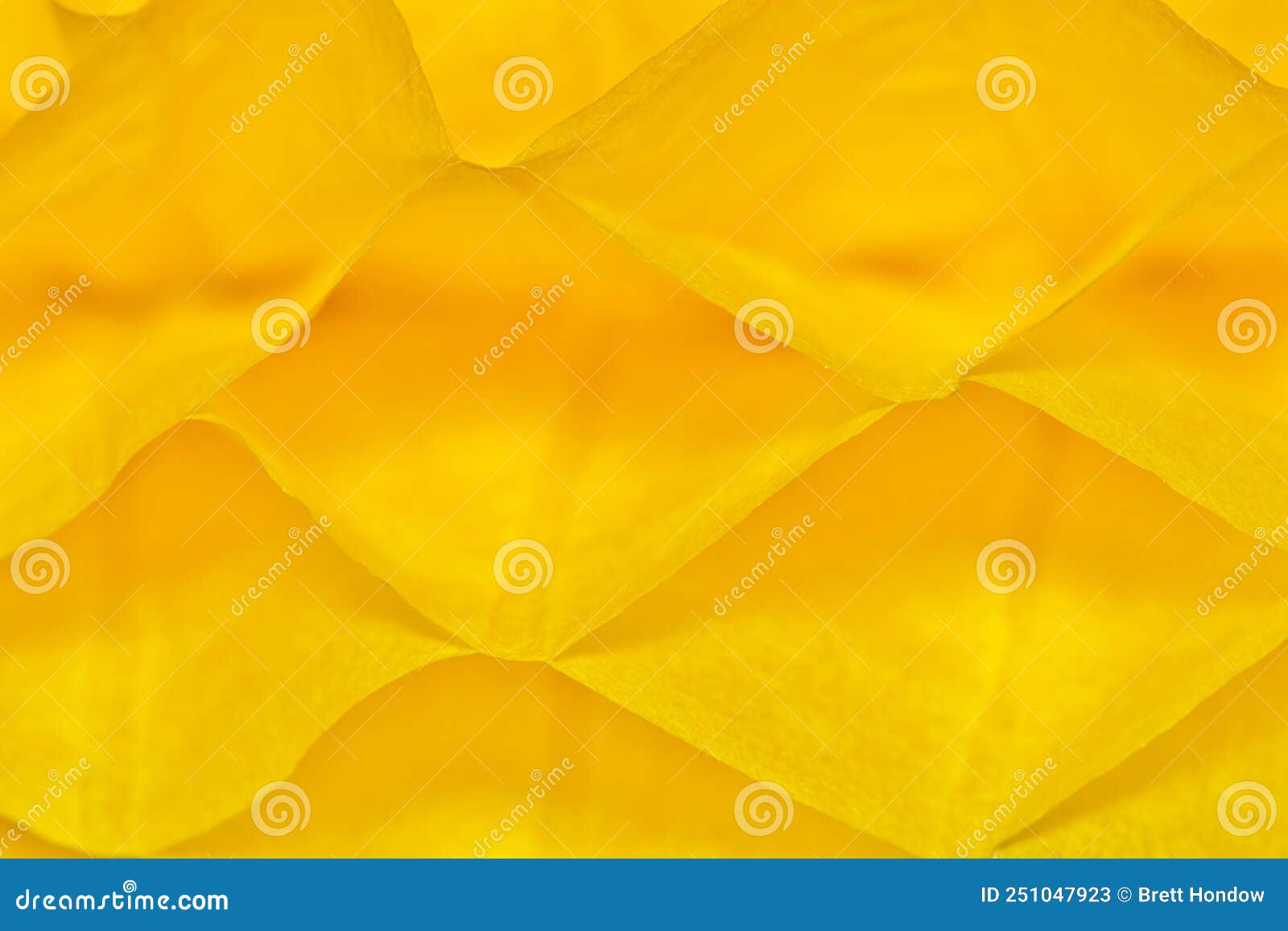 Yellow Paper Cells Abstract Patterns and Textures Background. Stock ...