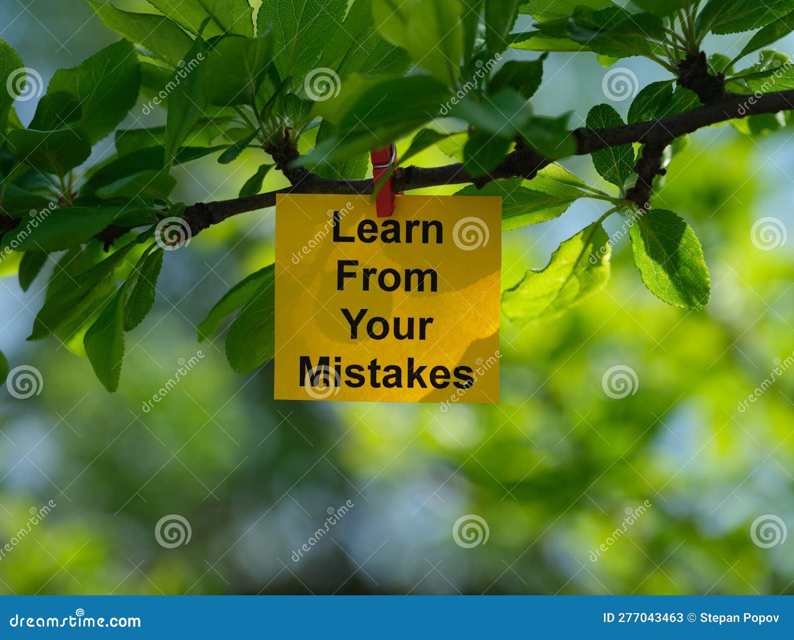 A Yellow Paper Note with the Phrase Learn from Your Mistakes on it ... A Yellow Paper Note with the Phrase Learn from Your Mistakes on it ...