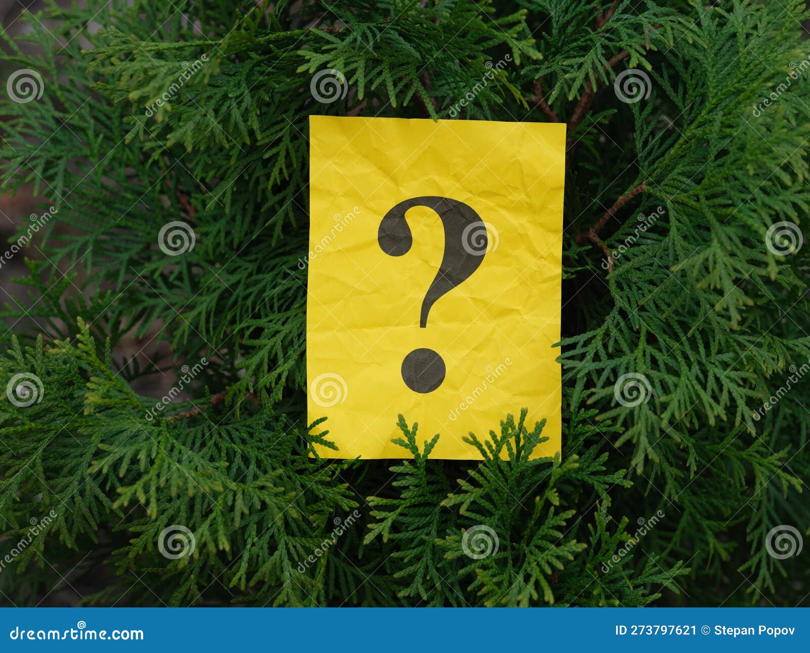 A Yellow Paper Note with a Question Mark on it Hanging on a Juniper ...