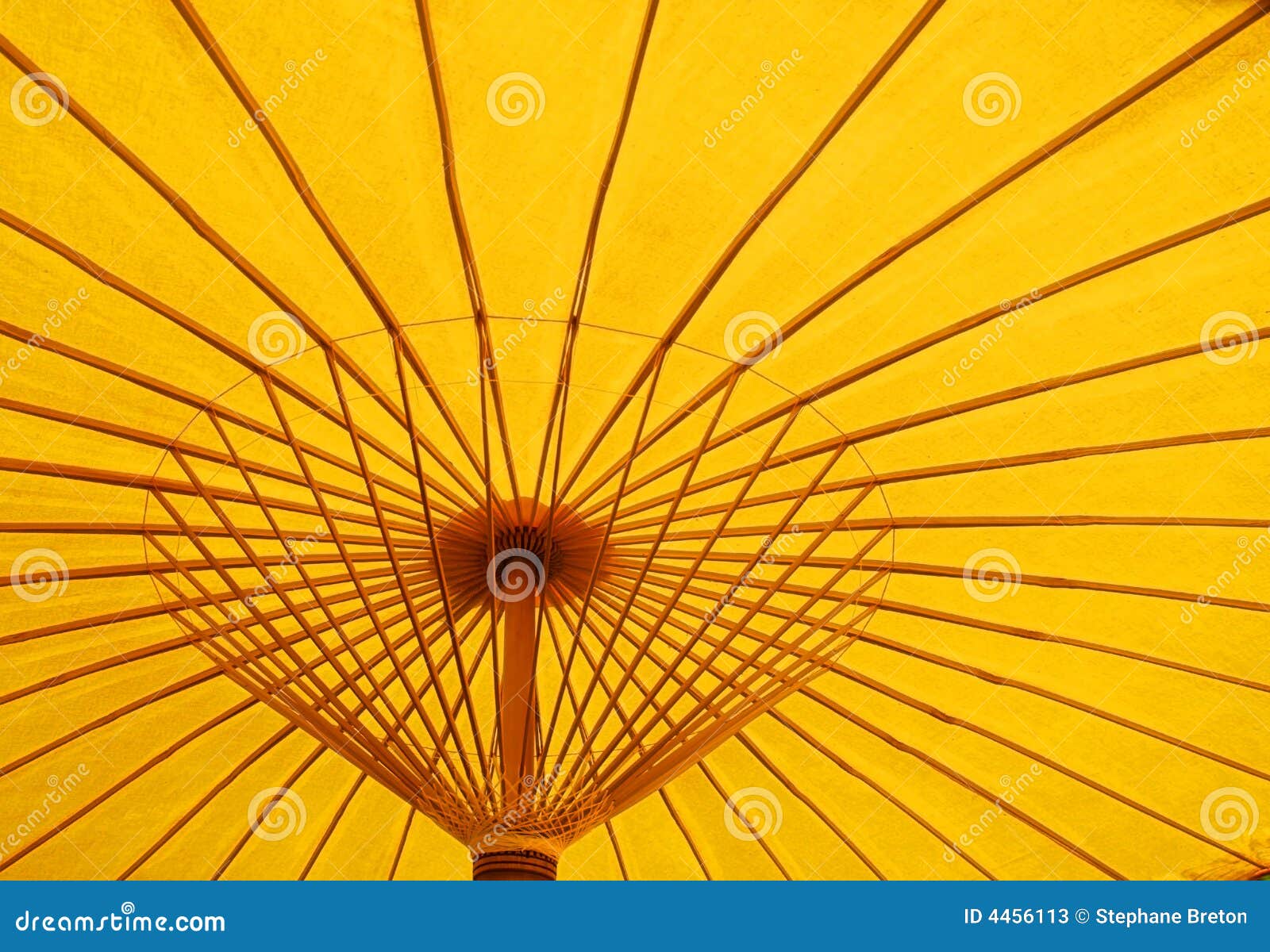 Yellow Parasol Picture. Image: 4456113