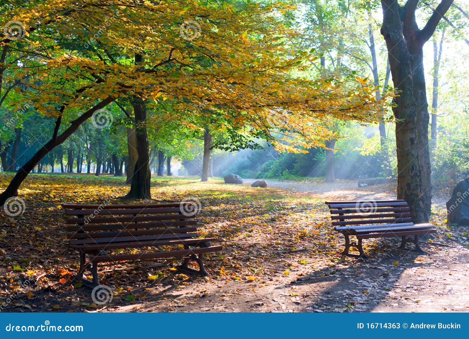 Yellow Park stock image. Image of cultivated, outdoors - 16714363
