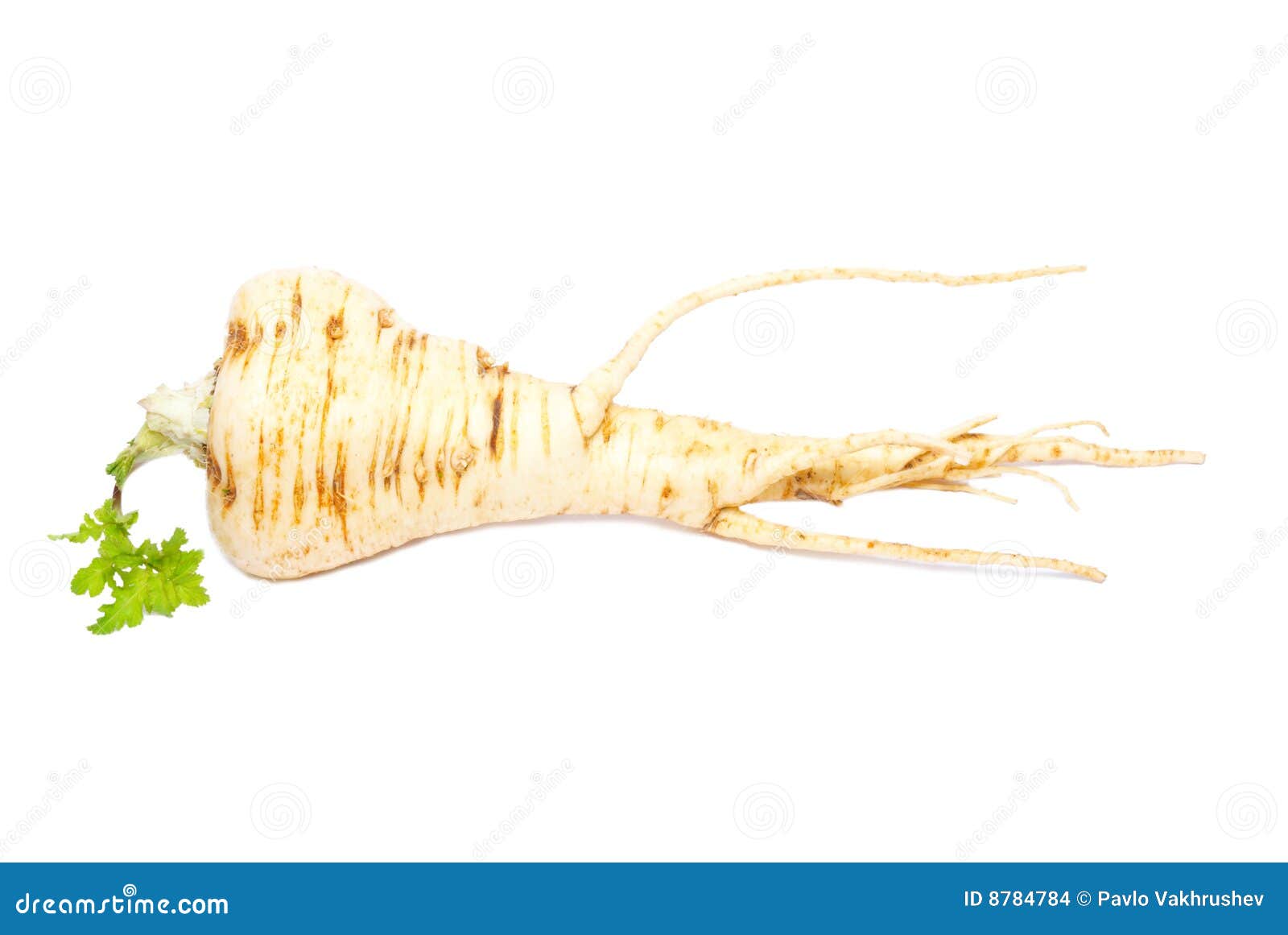 Yellow parsnip stock photo. Image of fresh, nutrients - 8784784