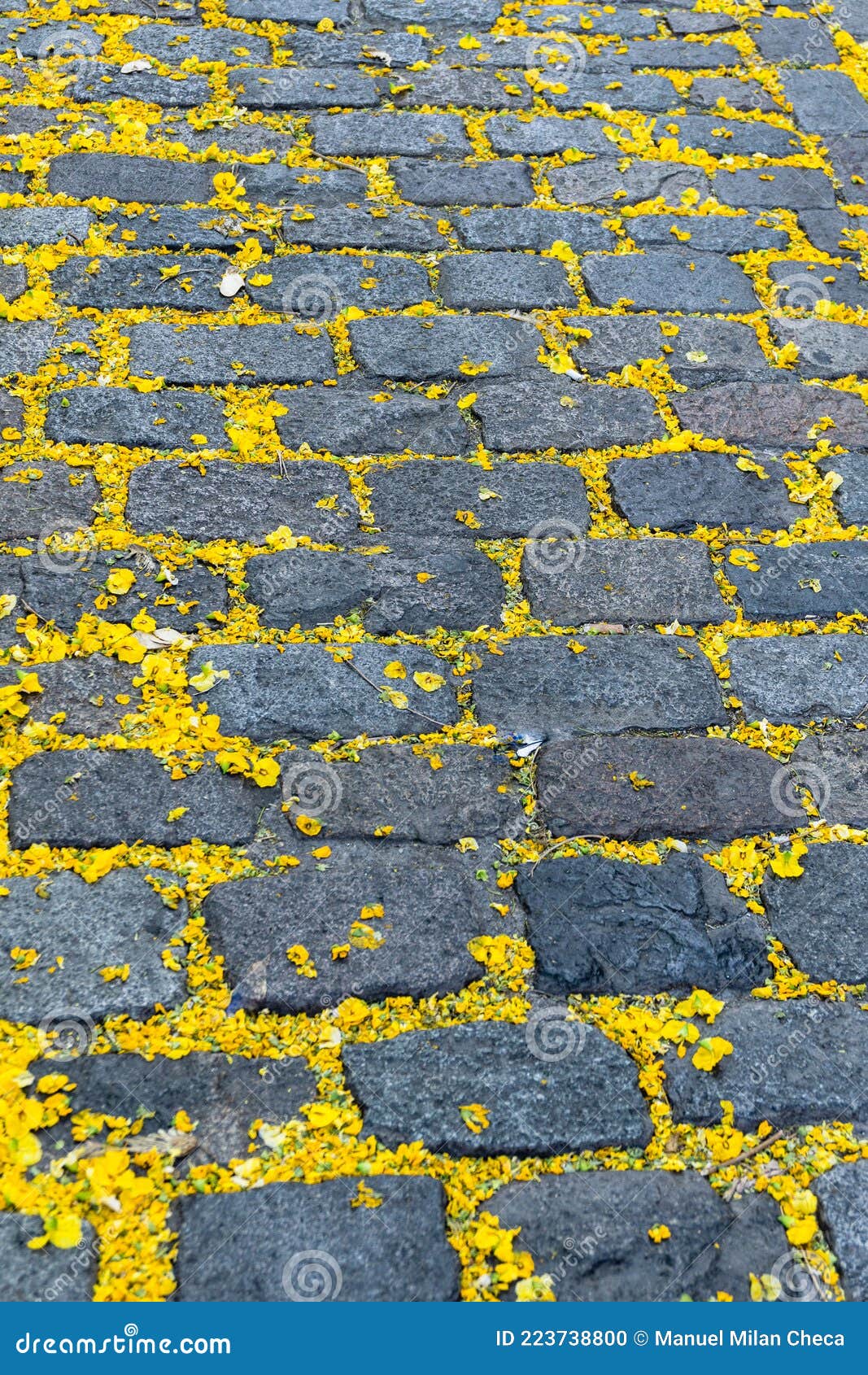 Yellow path in the city editorial image. Image of colorful - 223738800